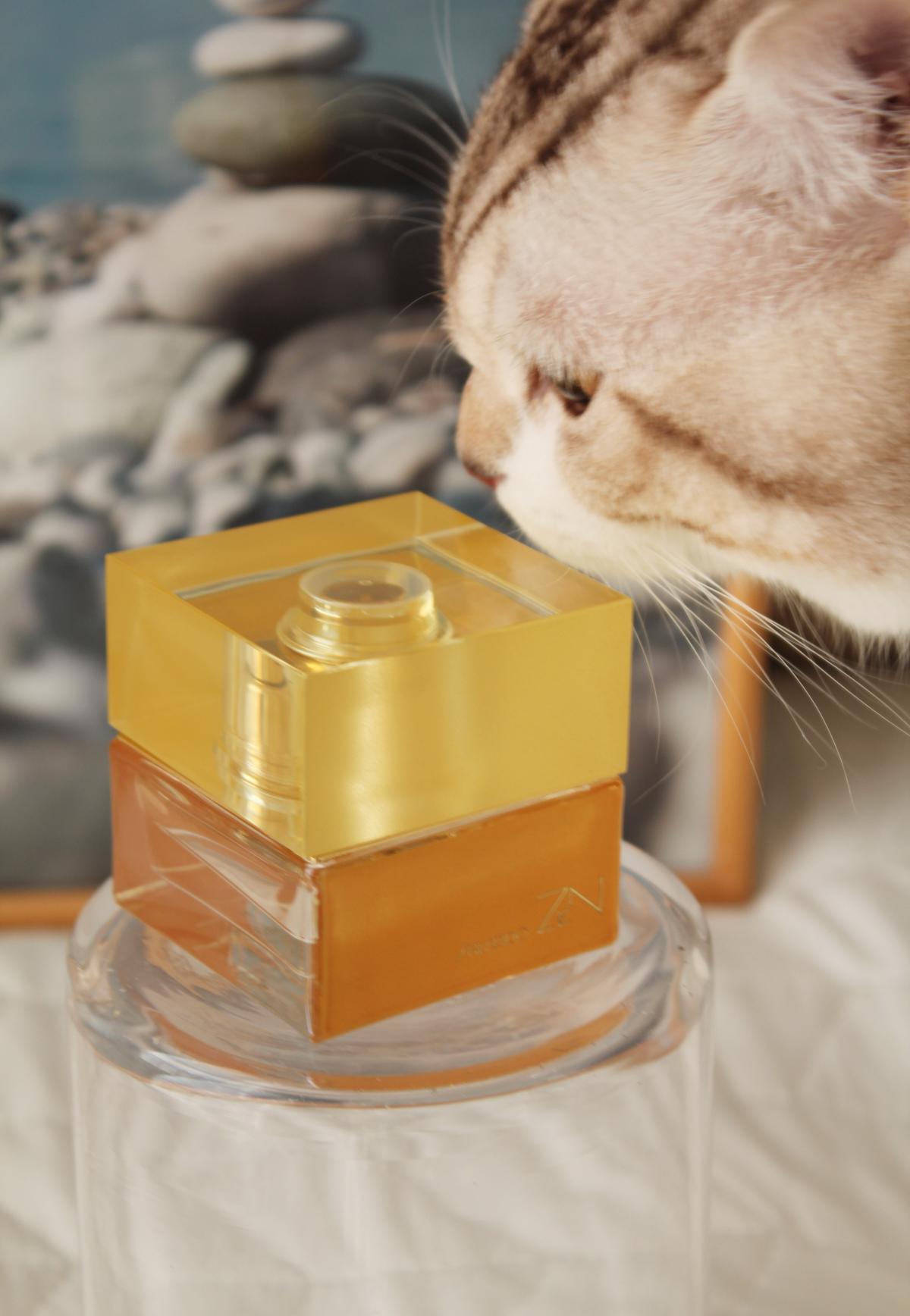 Zen Shiseido аромат — аромат для женщин 2007