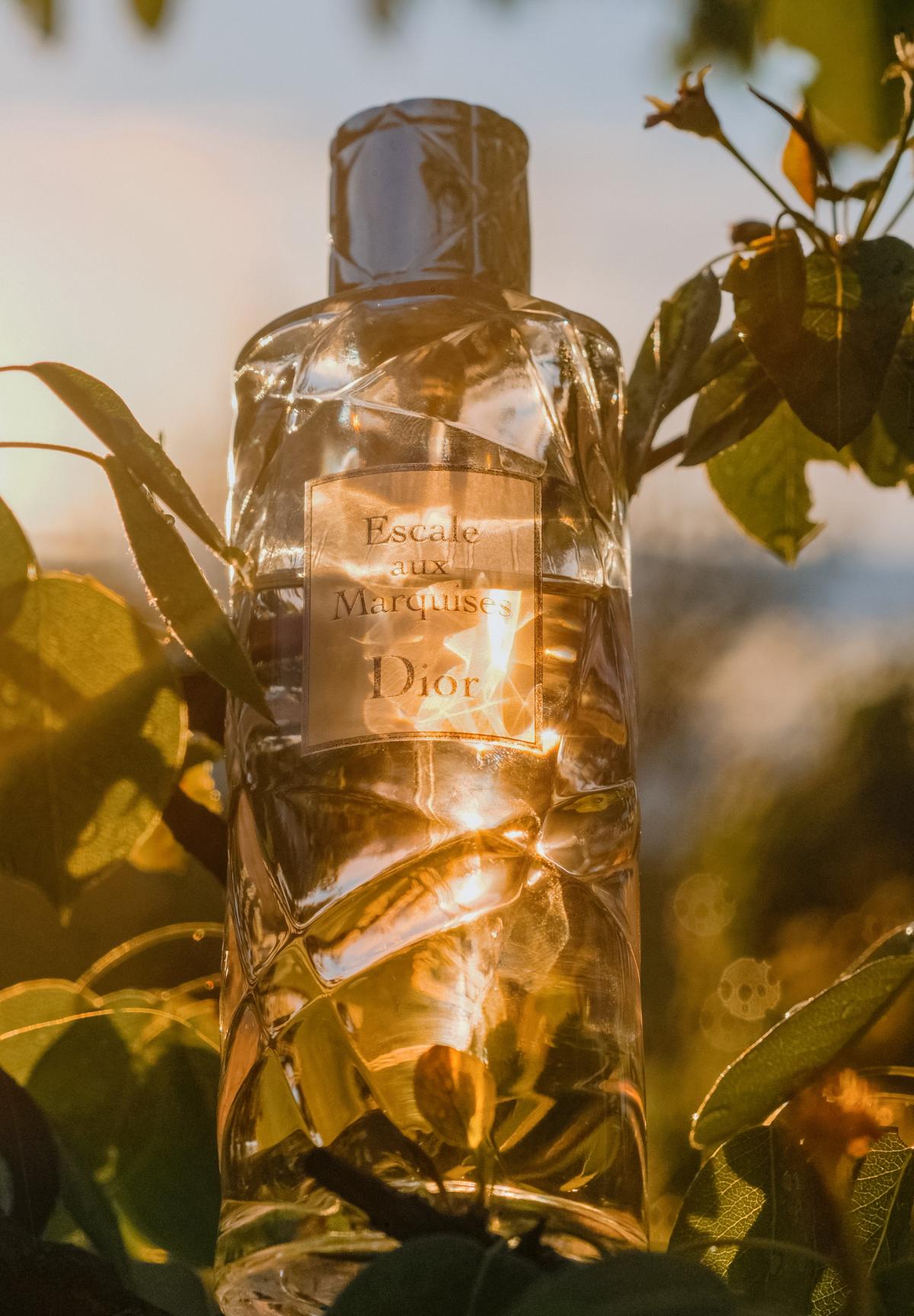 Cruise Collection Escale Aux Marquises Dior perfume - a fragrância ...