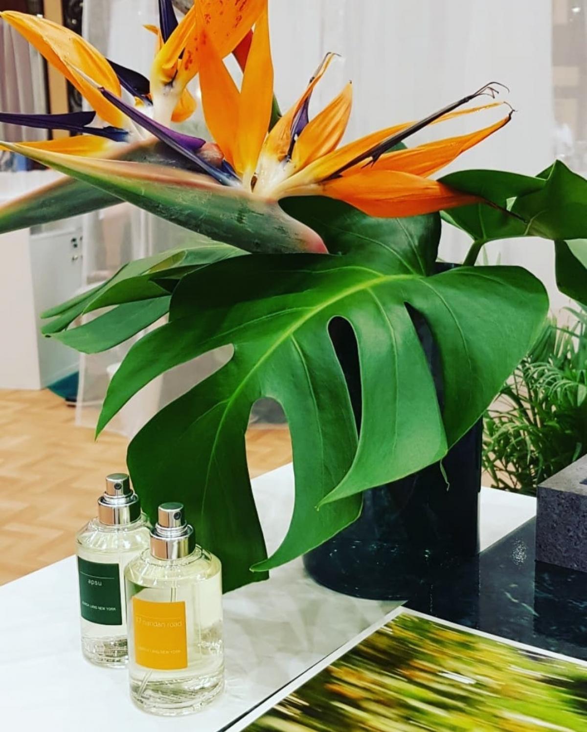 17 Nandan Road Ulrich Lang аромат — аромат для мужчин и женщин 2018