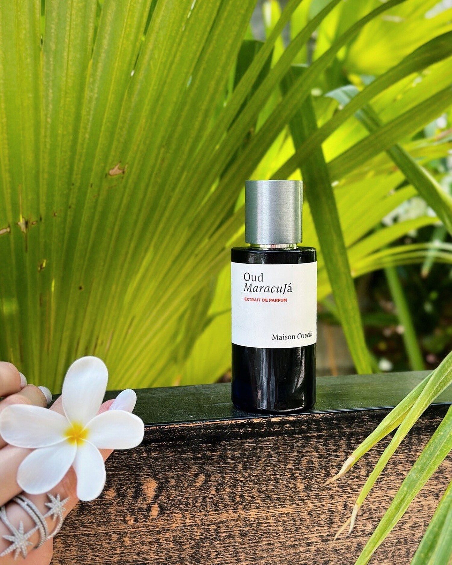 Oud Maracujá Maison Crivelli parfum - un nou parfum unisex 2023