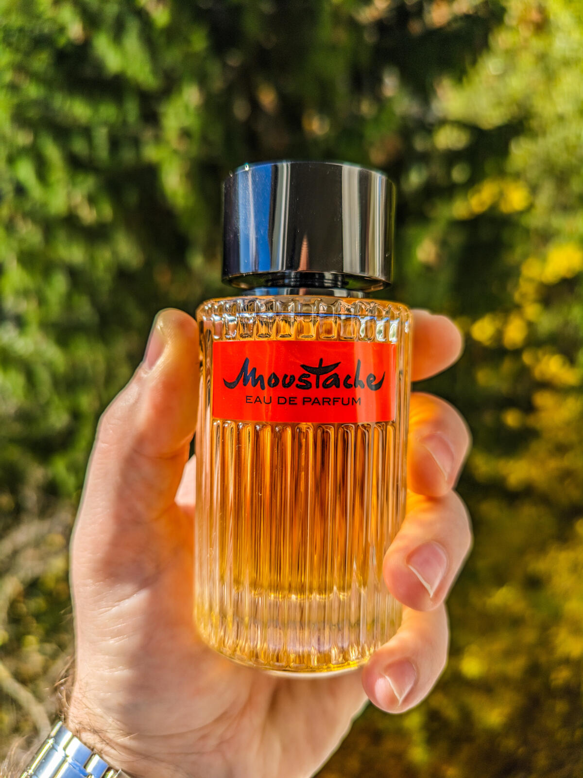Moustache Eau de Parfum Rochas Colônia - a fragrância Masculino 2018