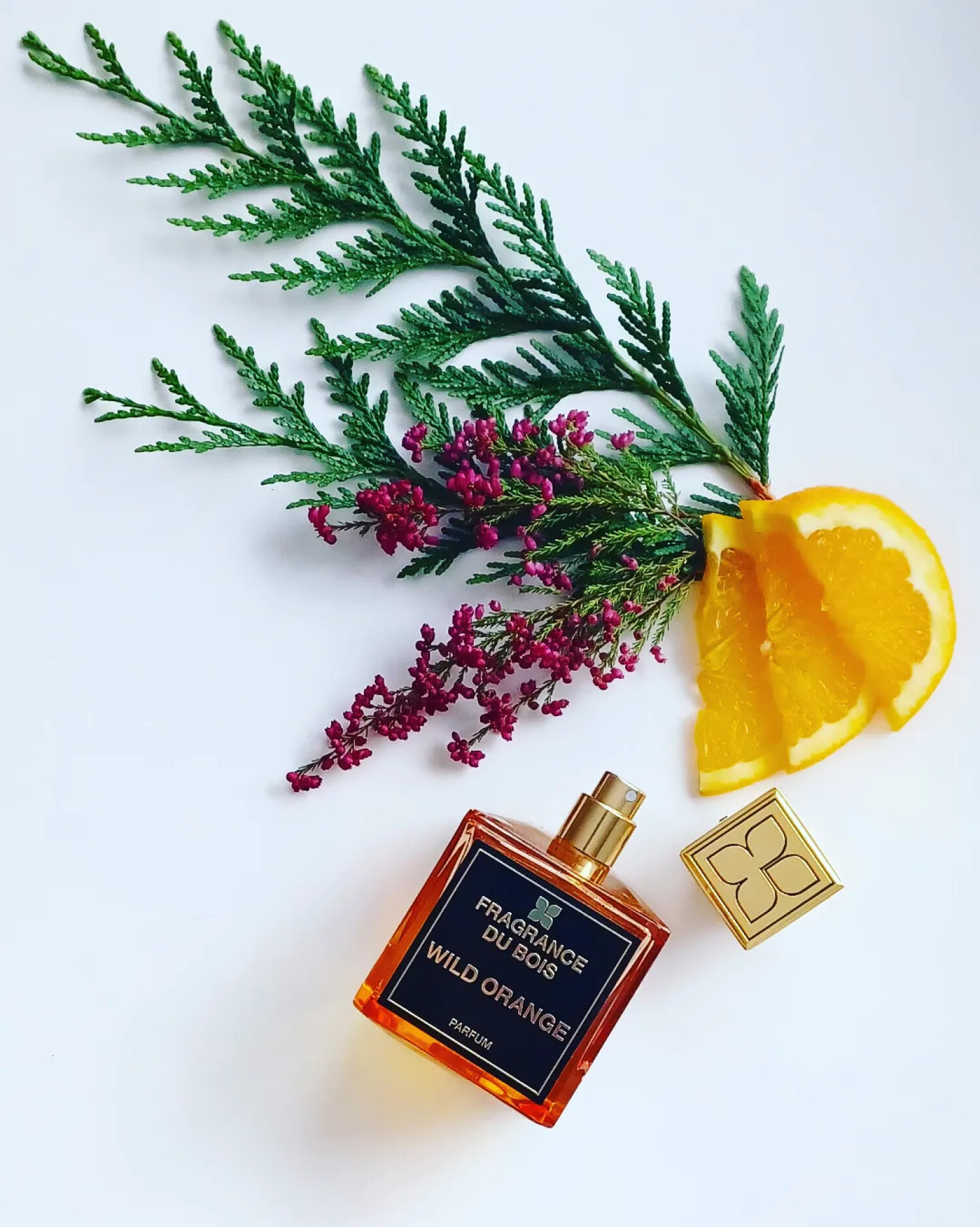 Wild Orange Fragrance Du Bois аромат — новый аромат для мужчин и женщин ...