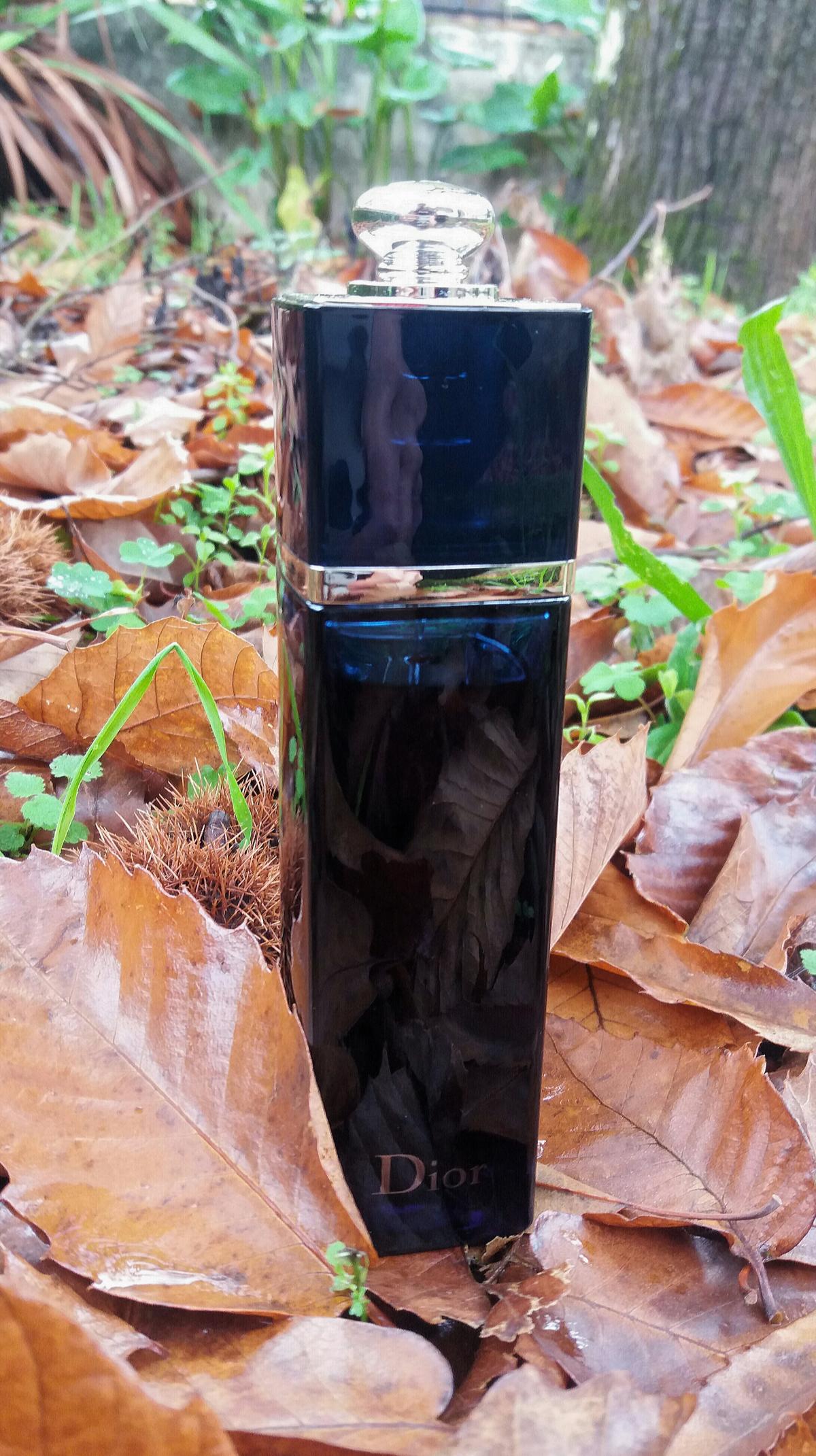 Dior Addict Dior fragancia - una fragancia para Mujeres 2002