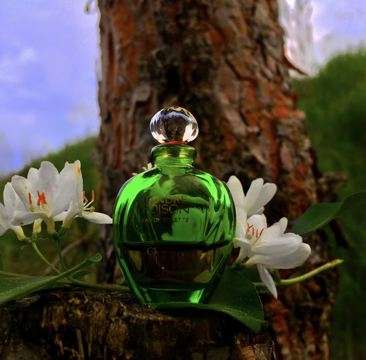 Tendre Poison Dior perfume - a fragrância Feminino 1994