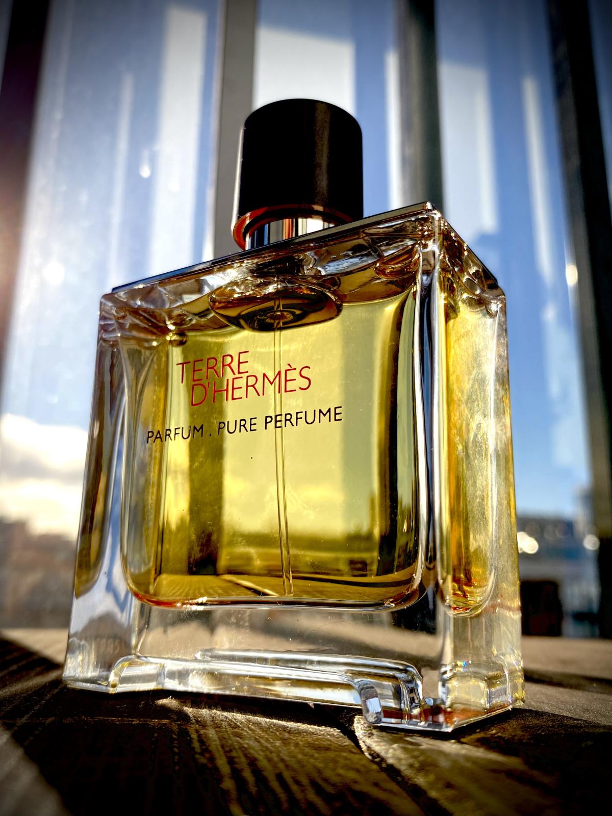 Terre d'Hermes Parfum Hermès одеколон — аромат для мужчин 2009