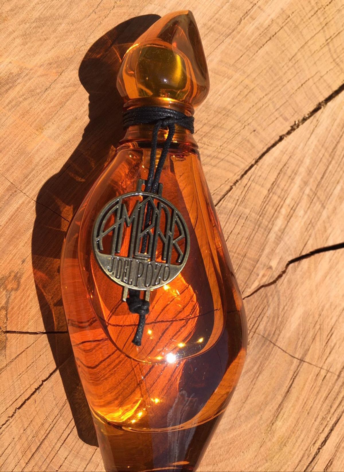 Ambar Jesus Del Pozo parfum - een geur voor dames 2010