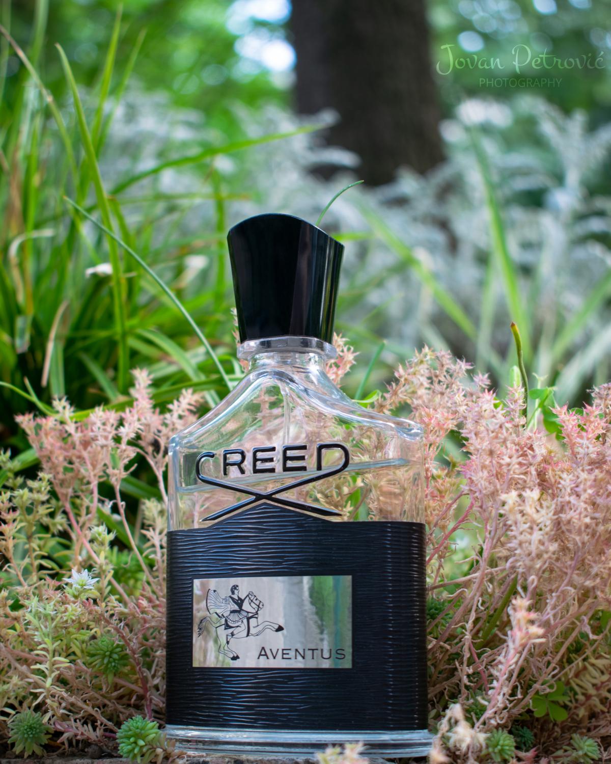 Aventus Creed Colonia - una fragancia para Hombres 2010