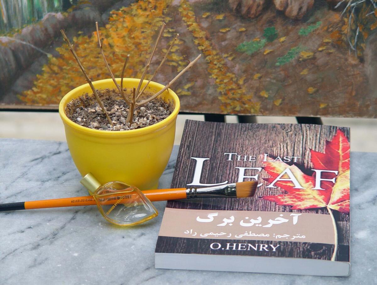 Summer by Kenzo Kenzo perfume - a fragrância Feminino 2005