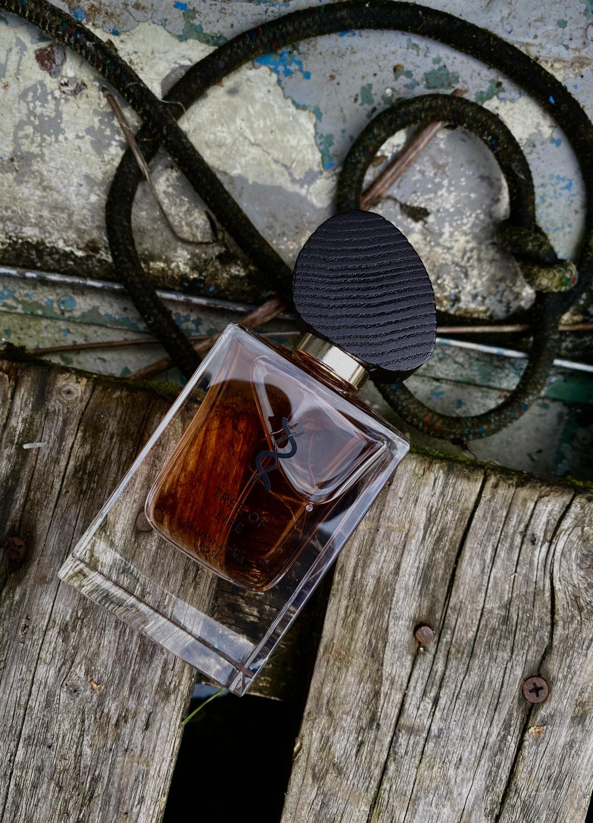 Illuminating Rose Tree Of Life عطر - a جديد fragrance للنساء 2023