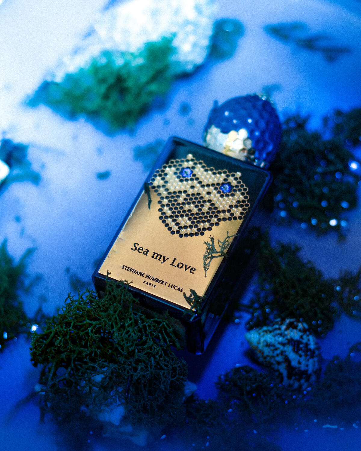 Sea My Love Stéphane Humbert Lucas 777 perfume - a novo fragrância ...