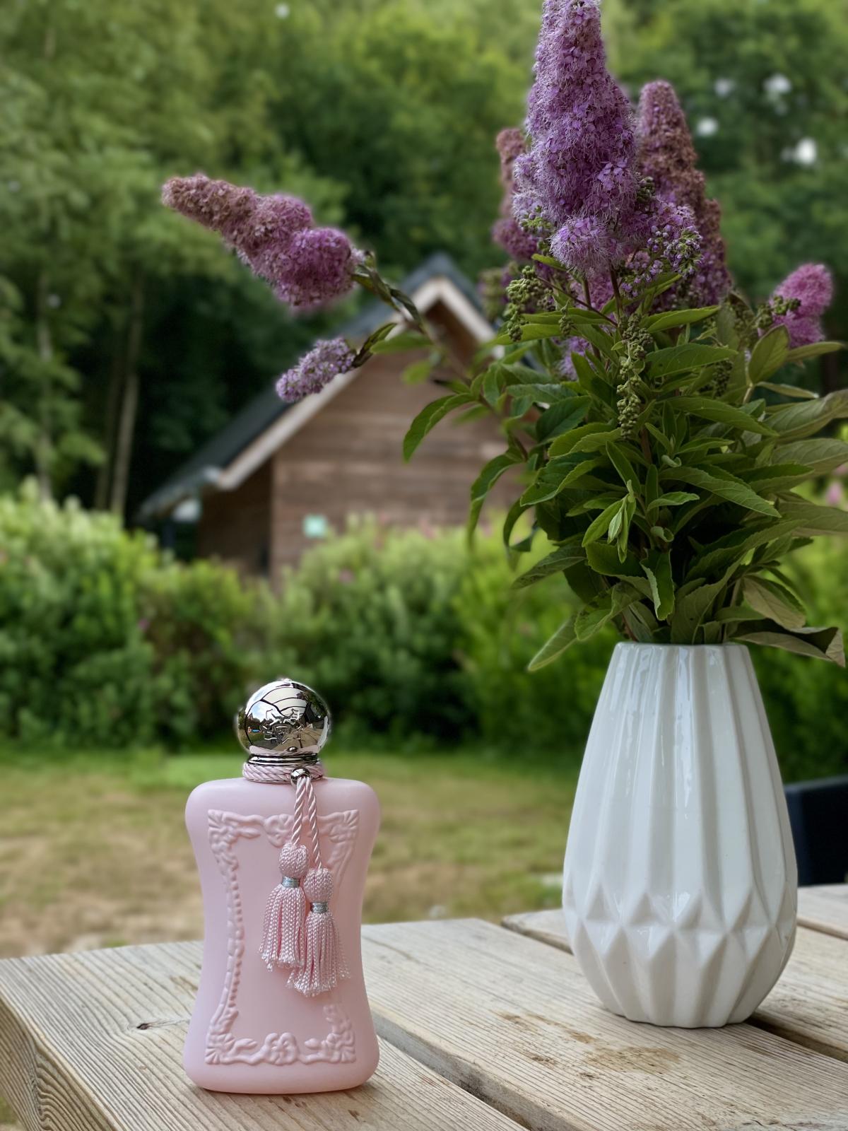 Delina Parfums de Marly perfume - a fragrância Feminino 2017