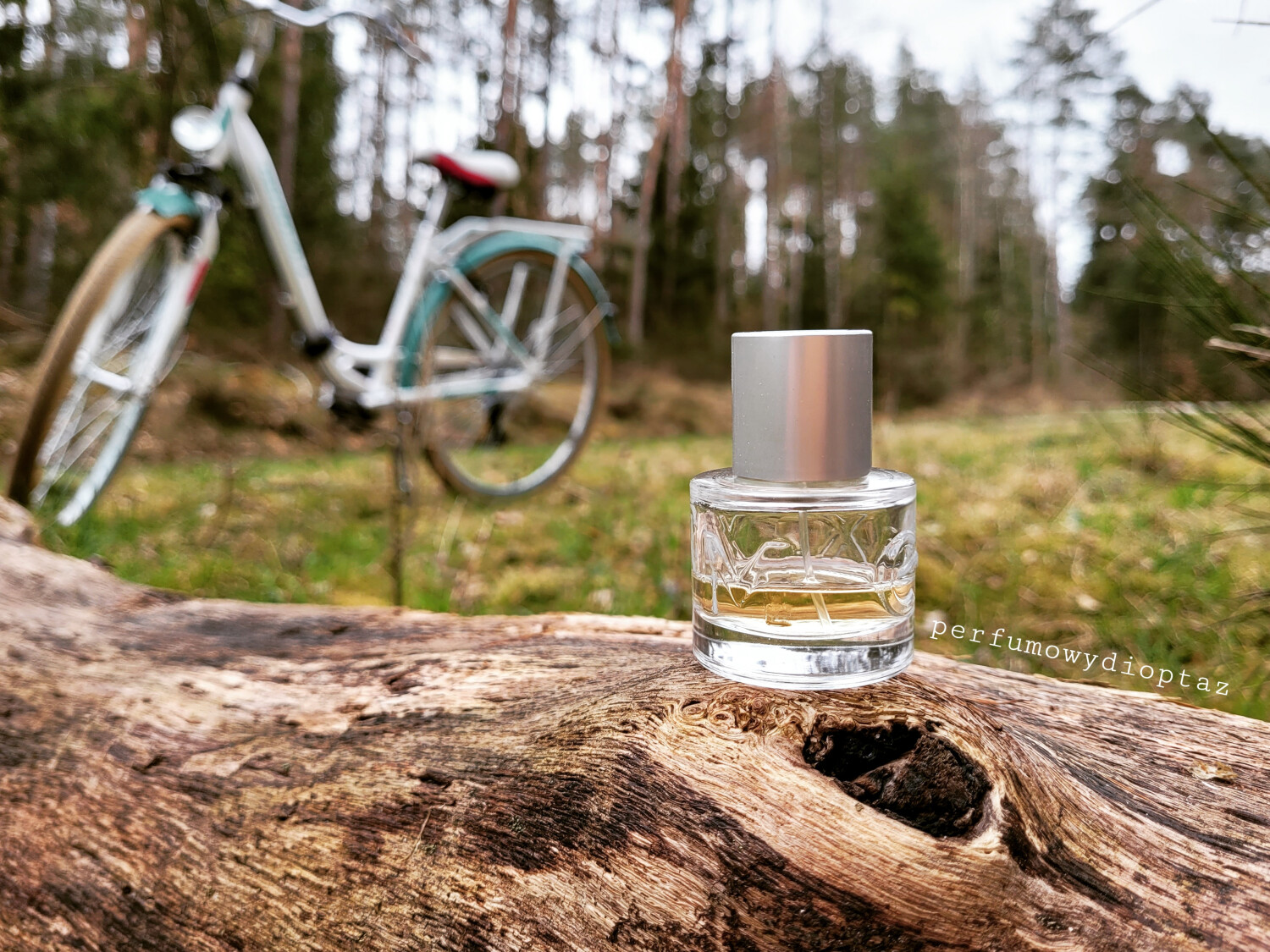 Mexx Woman Mexx parfum - un parfum pour femme 2000