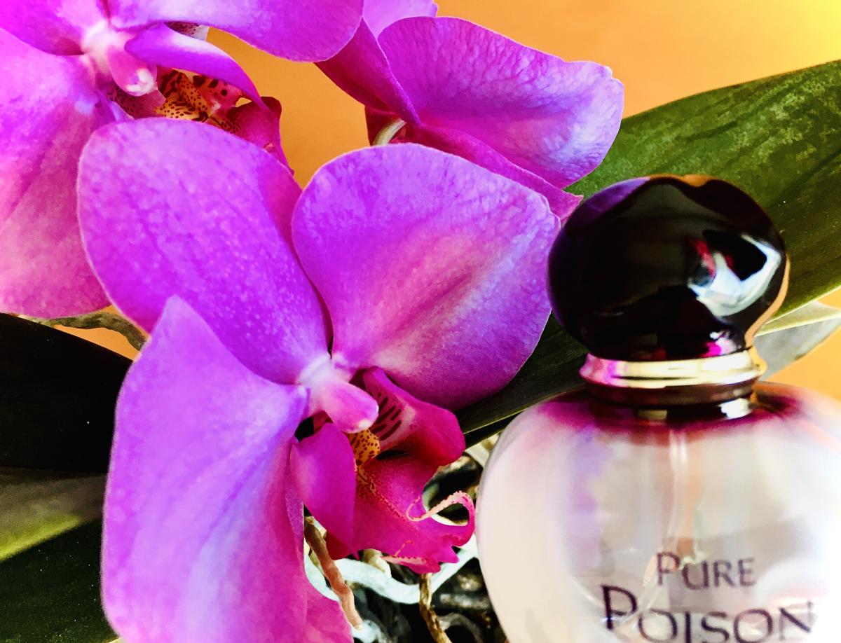 Pure Poison Dior 香水 - 一款 2004年 女用 香水