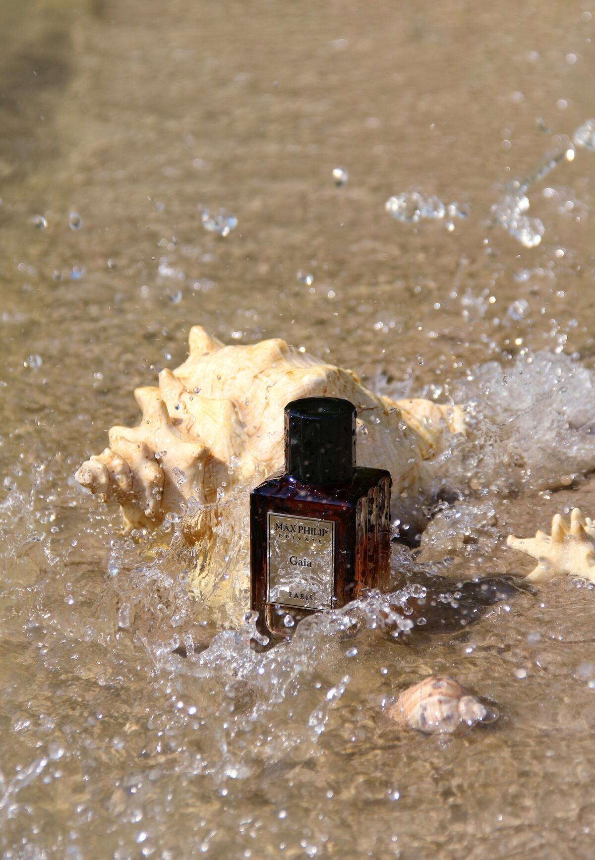 Gaia Max Philip аромат — новый аромат для мужчин и женщин 2023