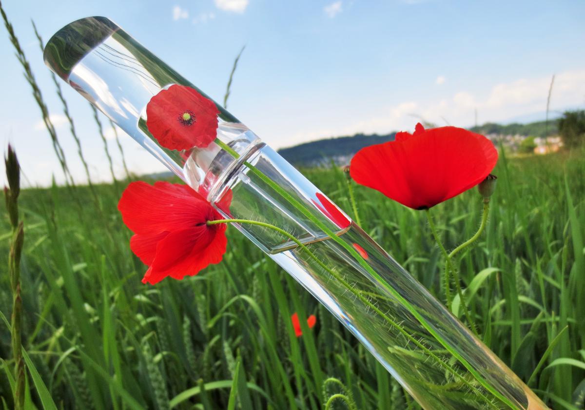 Flower by Kenzo Kenzo άρωμα - ένα άρωμα για γυναίκες 2000