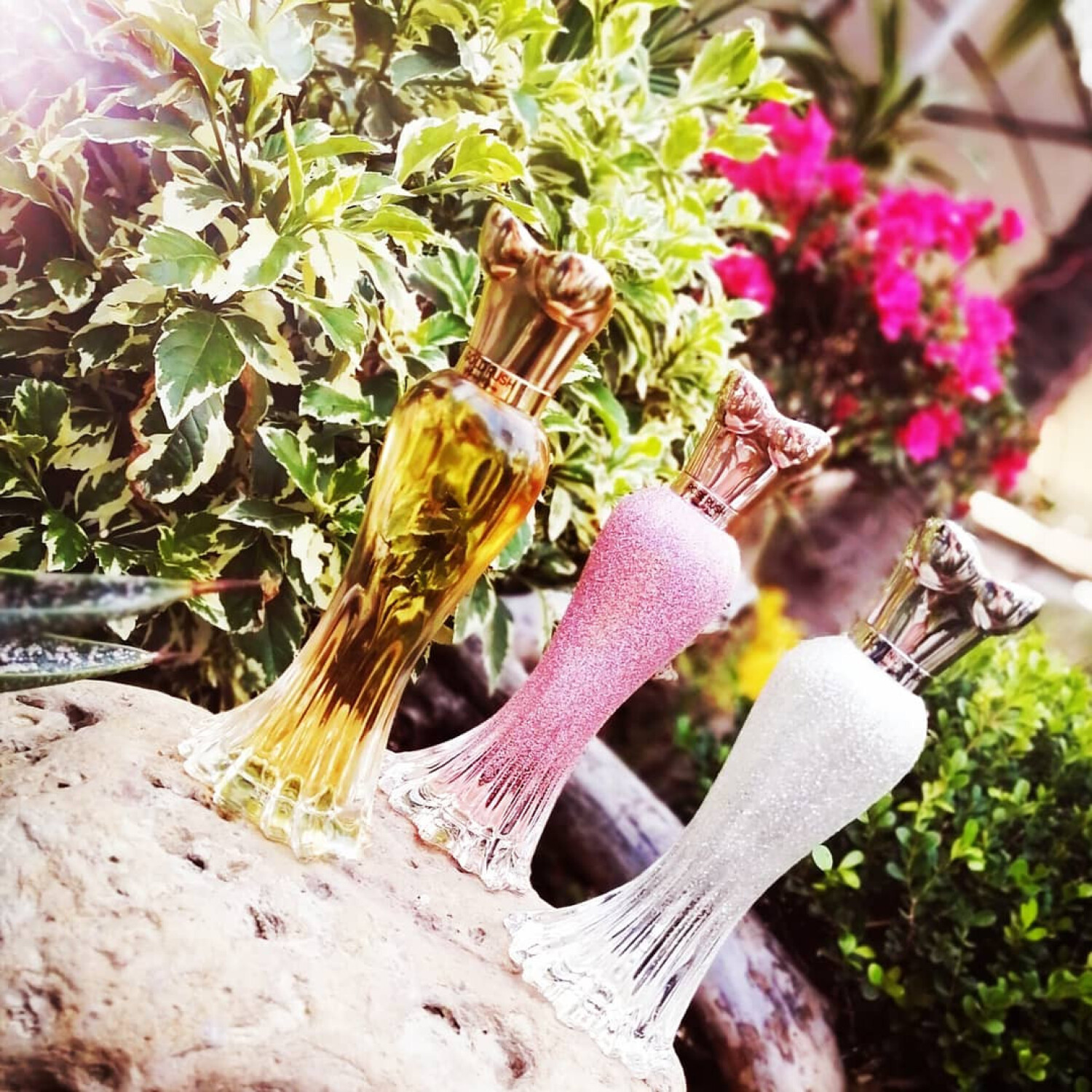 Rosé Rush Paris Hilton fragancia - una fragancia para Mujeres 2017