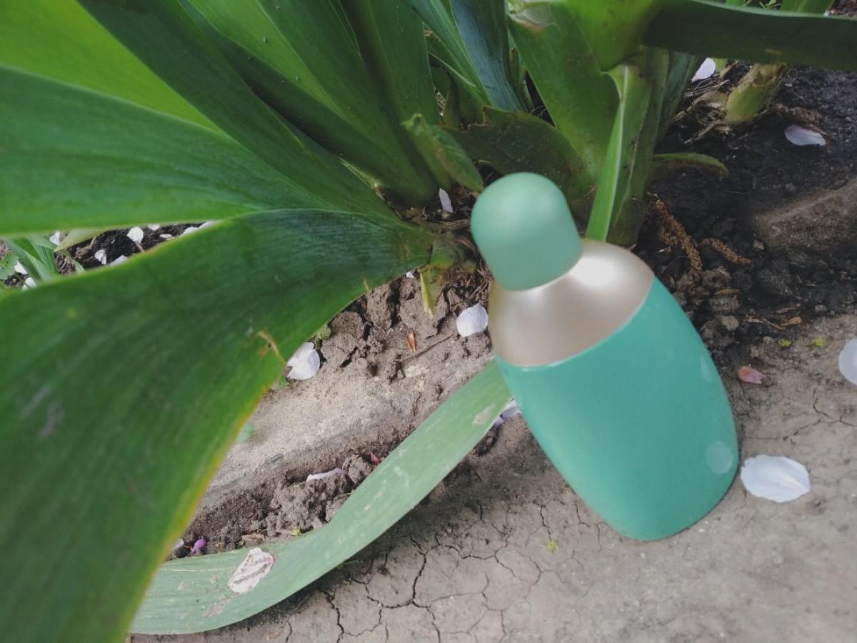 Eden Cacharel perfume - a fragrância Feminino 1994