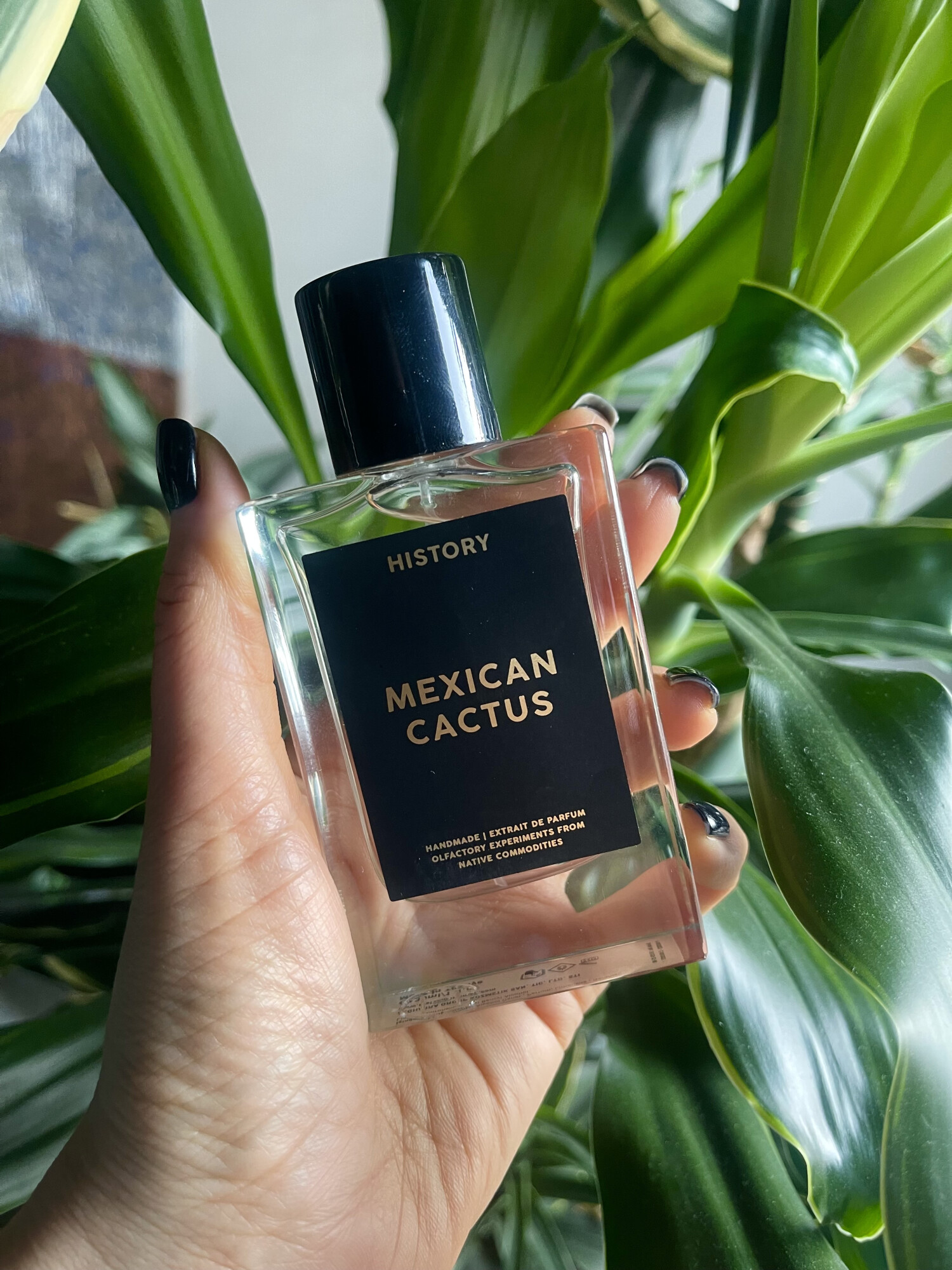 Mexican Cactus History Parfums Parfum - ein neues Parfum für Frauen und ...