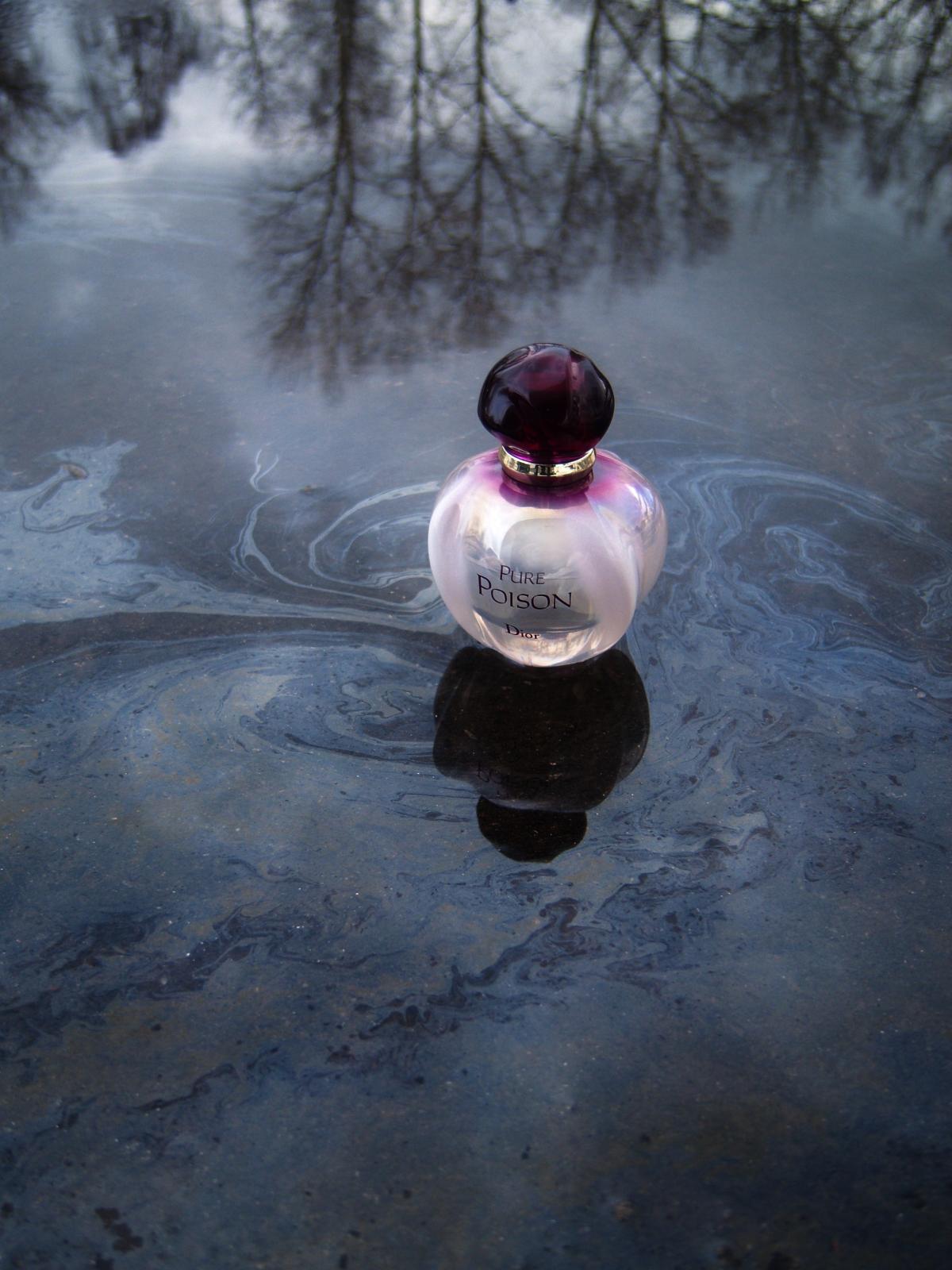 Pure Poison Dior fragancia - una fragancia para Mujeres 2004