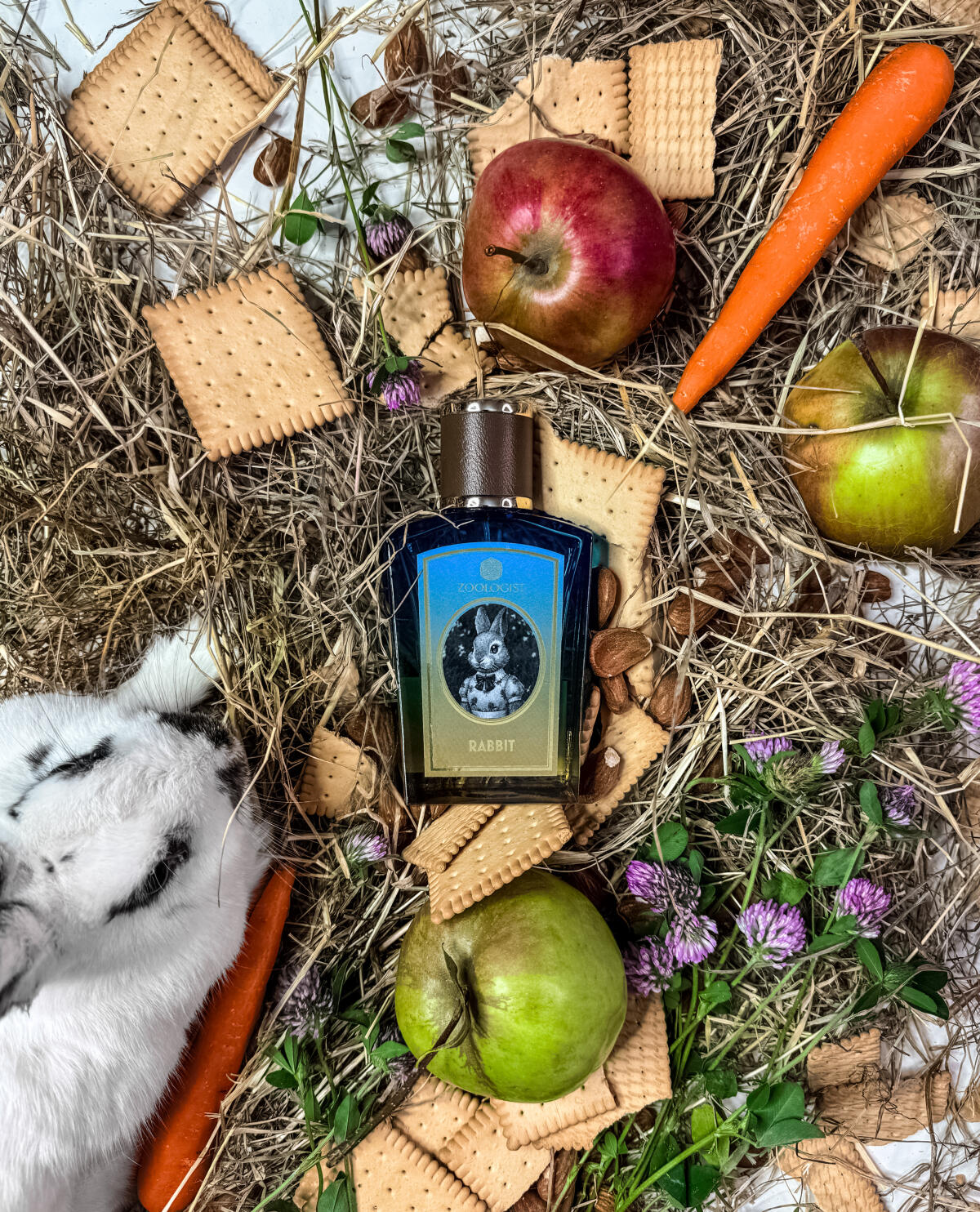 Rabbit Zoologist Perfumes parfum - un nouveau parfum pour homme et ...