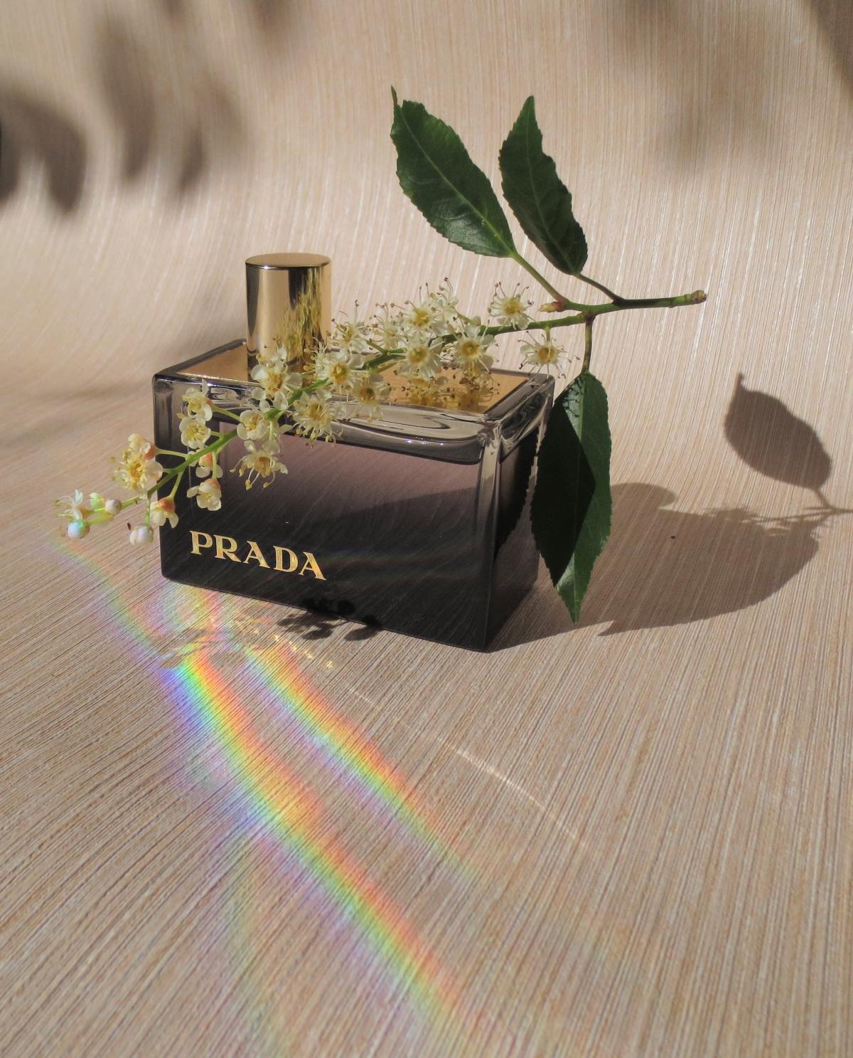 L'Eau Ambree Prada аромат — аромат для женщин 2009
