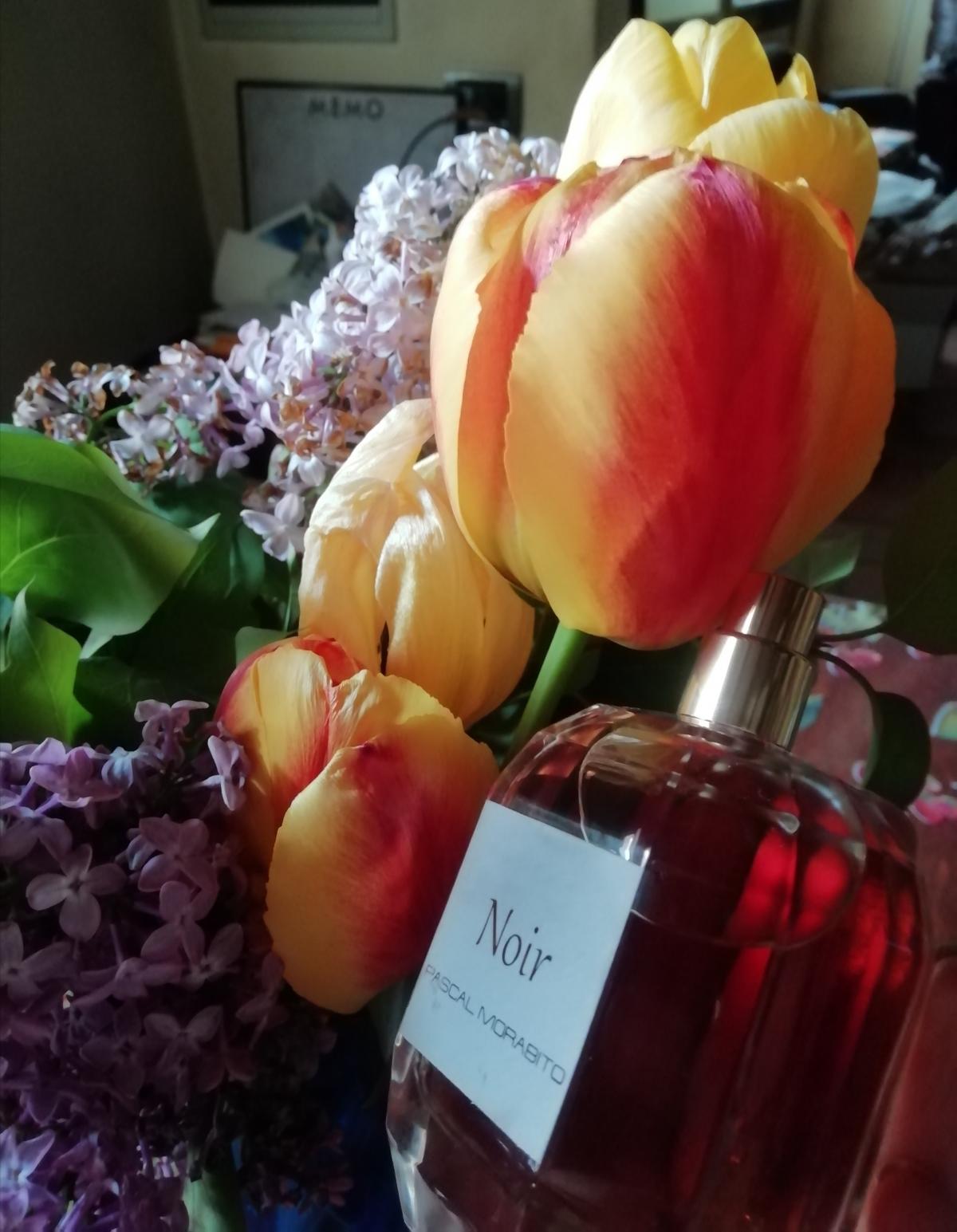 Sultan Noir Pascal Morabito fragancia - una fragancia para Hombres y ...