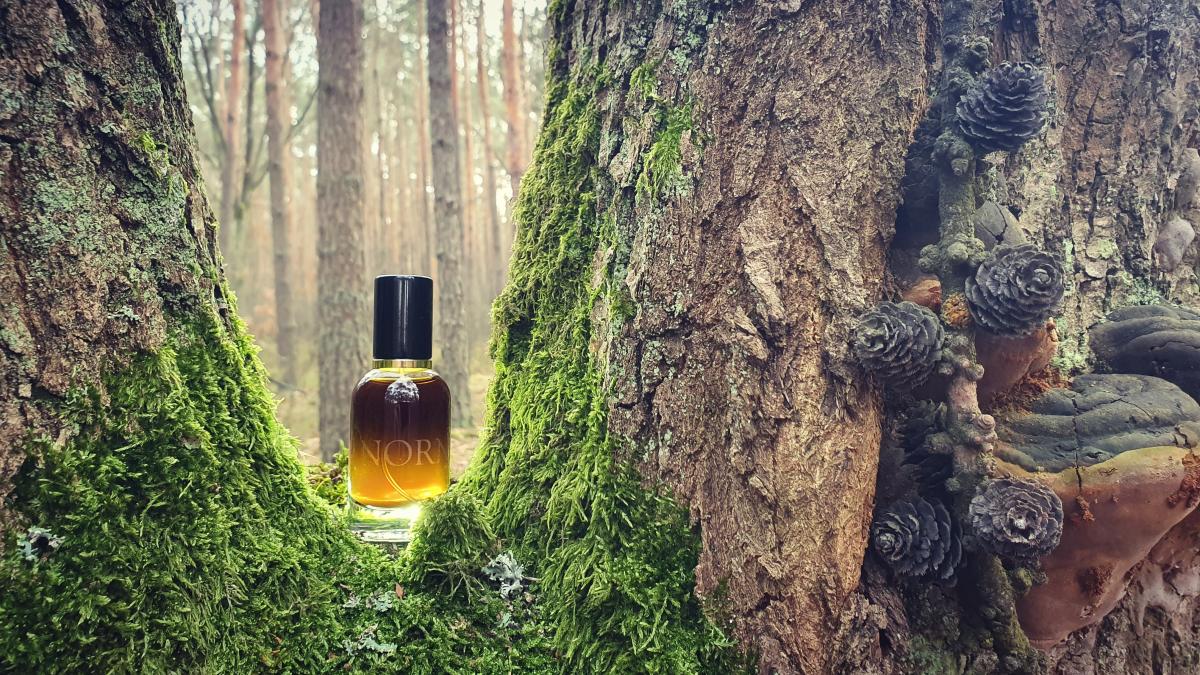 Norne Slumberhouse аромат — аромат для мужчин и женщин 2012