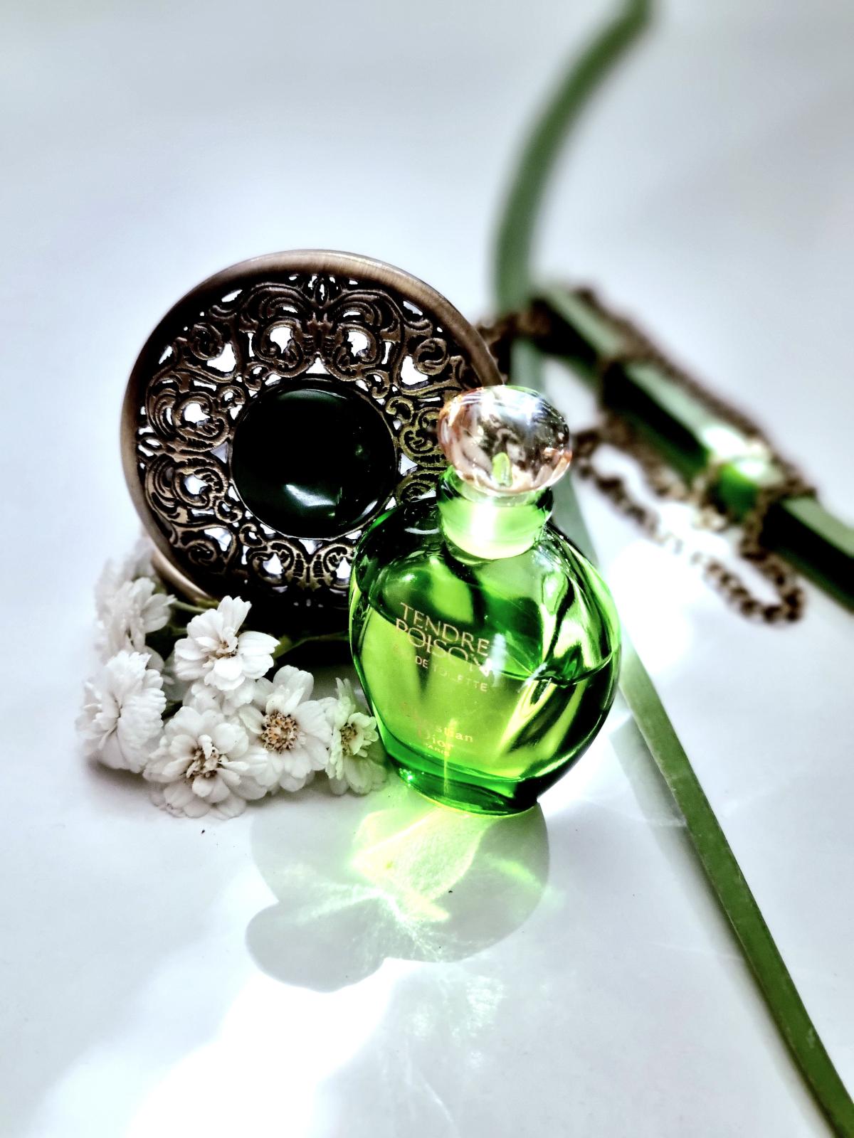 Tendre Poison Dior perfume - a fragrância Feminino 1994