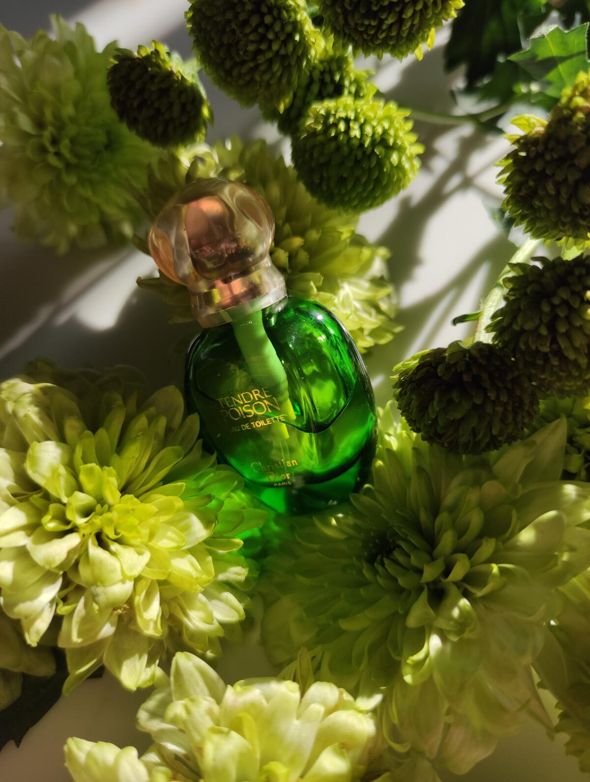 Tendre Poison Dior perfume - a fragrância Feminino 1994