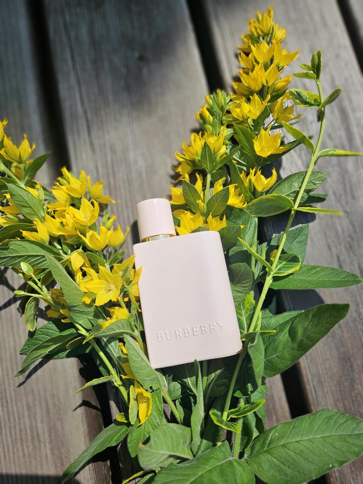 Burberry Her Elixir de Parfum Burberry - una novità fragranza da donna 2022