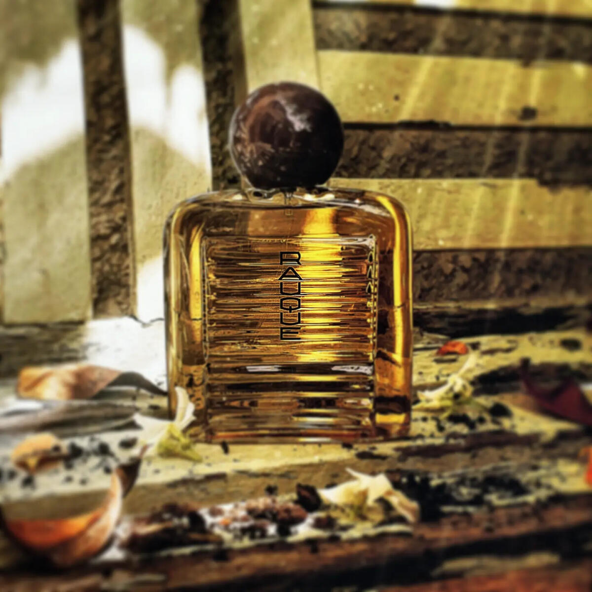 Rauque Roberto Greco عطر - a جديد fragrance للجنسين 2023