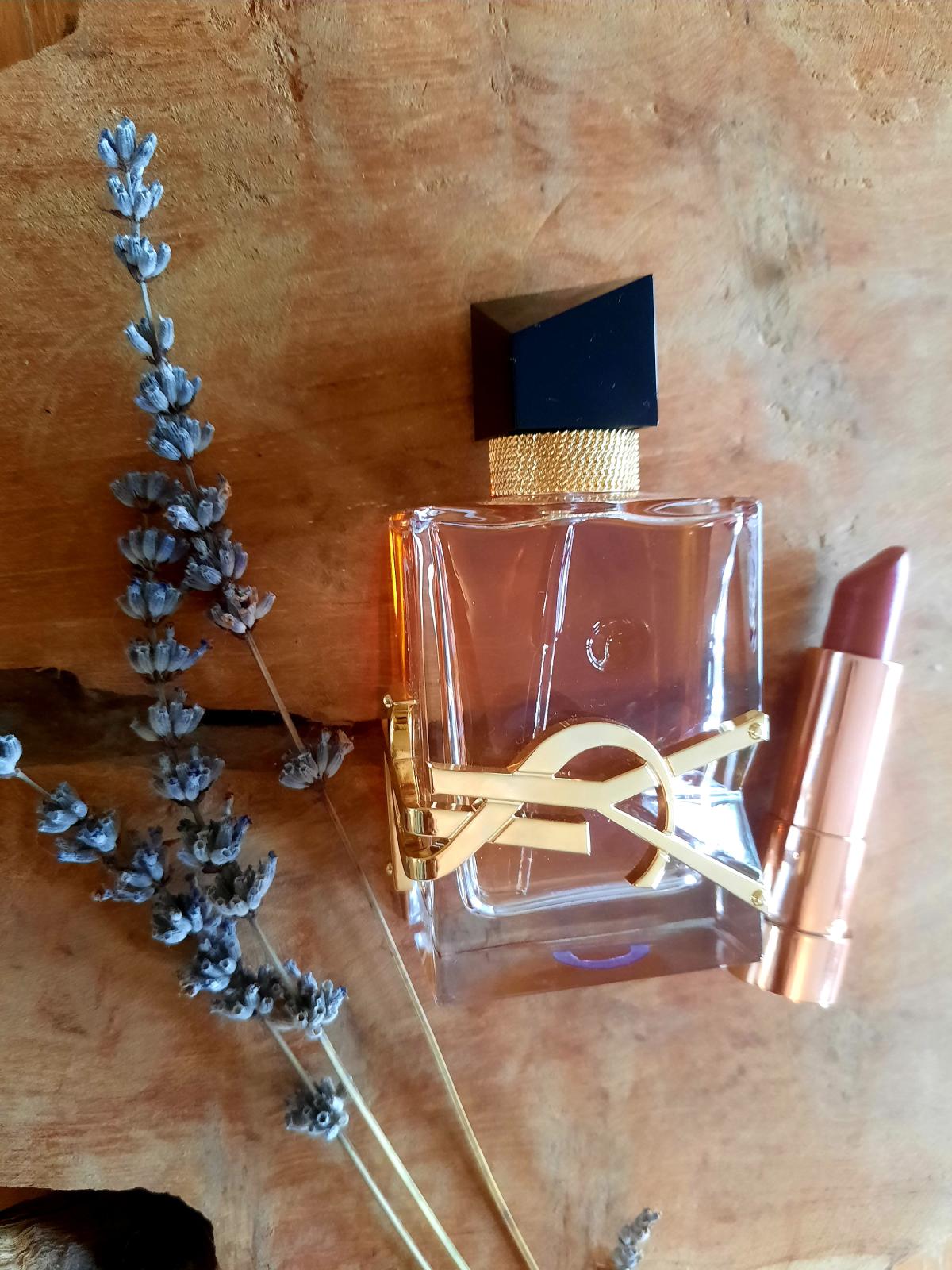 Libre Intense Yves Saint Laurent parfum - un parfum pour femme 2020