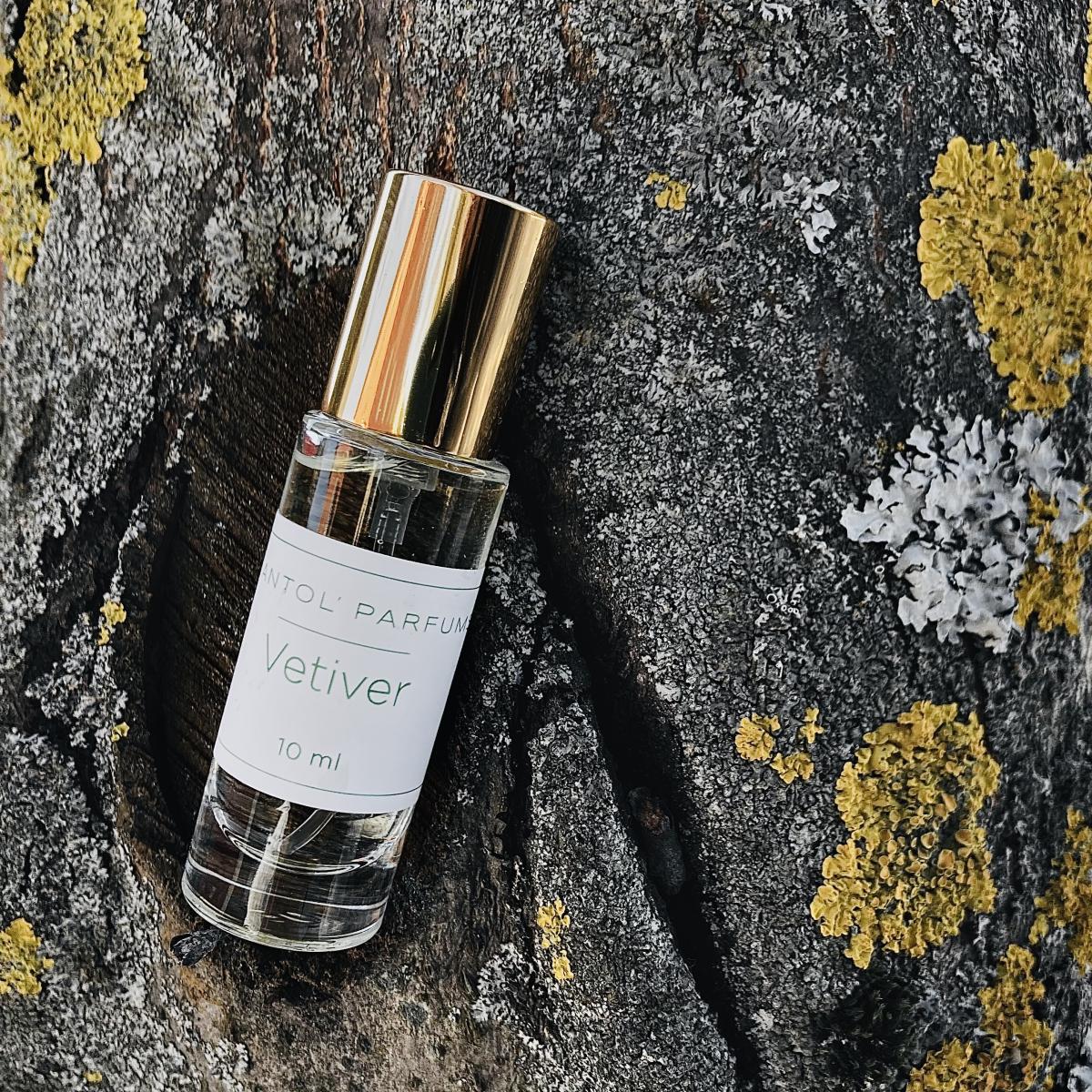 Vetiver — Ветивер D’Antol’ Parfums άρωμα - ένα άρωμα για γυναίκες και ...