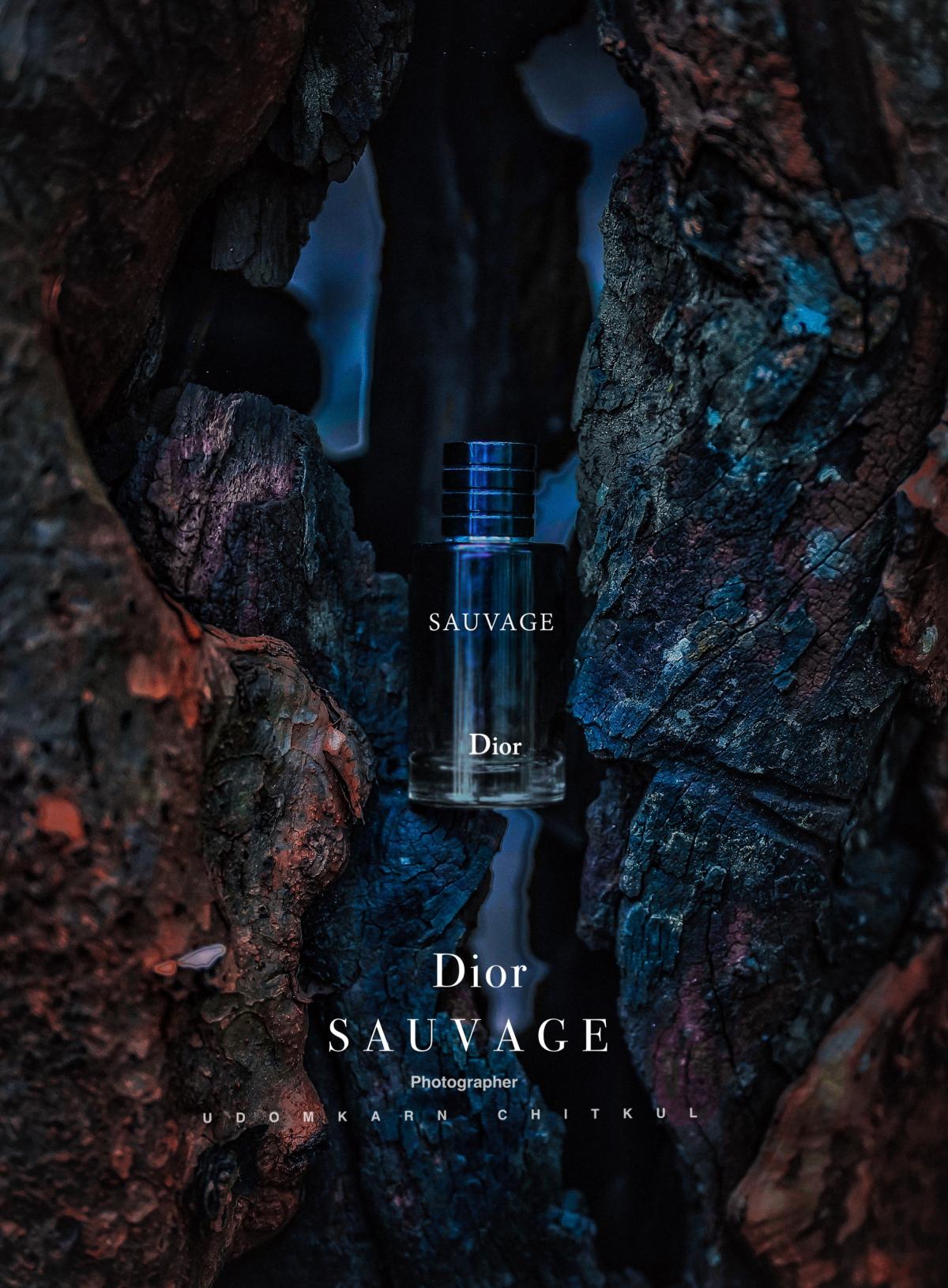 Sauvage Dior үнэртэн - a сүрчиг эрэгтэй 2015
