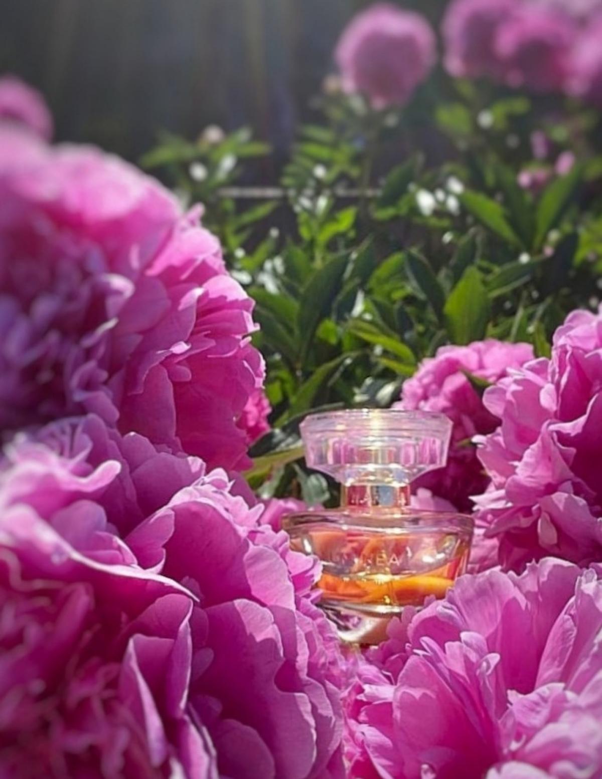 Illuminea Mary Kay Parfum - ein neues Parfum für Frauen 2020