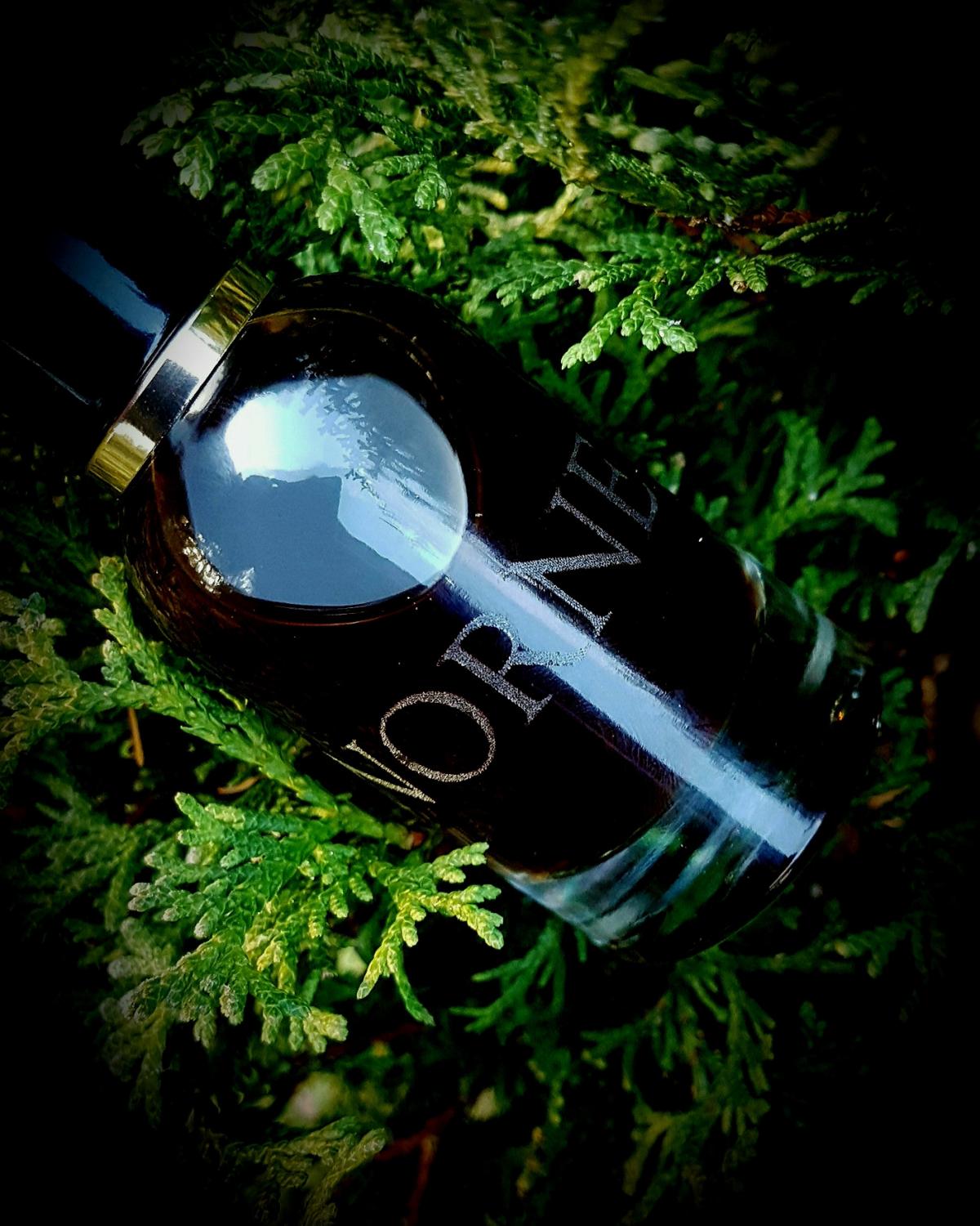 Norne Slumberhouse parfum - un parfum pour homme et femme 2012