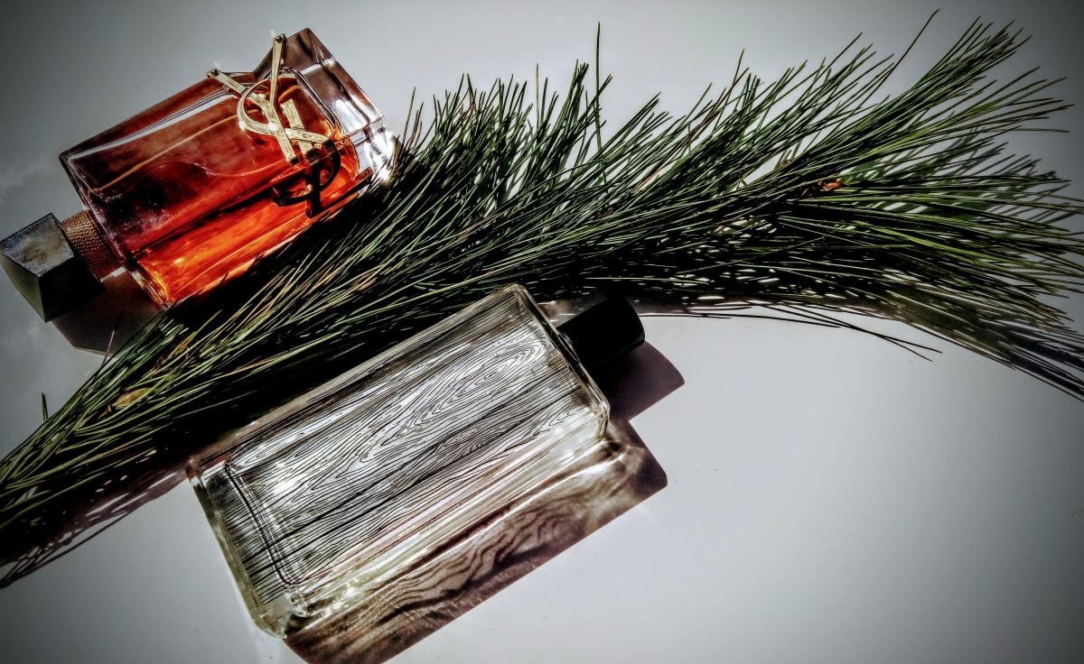 Libre Intense Yves Saint Laurent perfume - a fragrância Feminino 2020