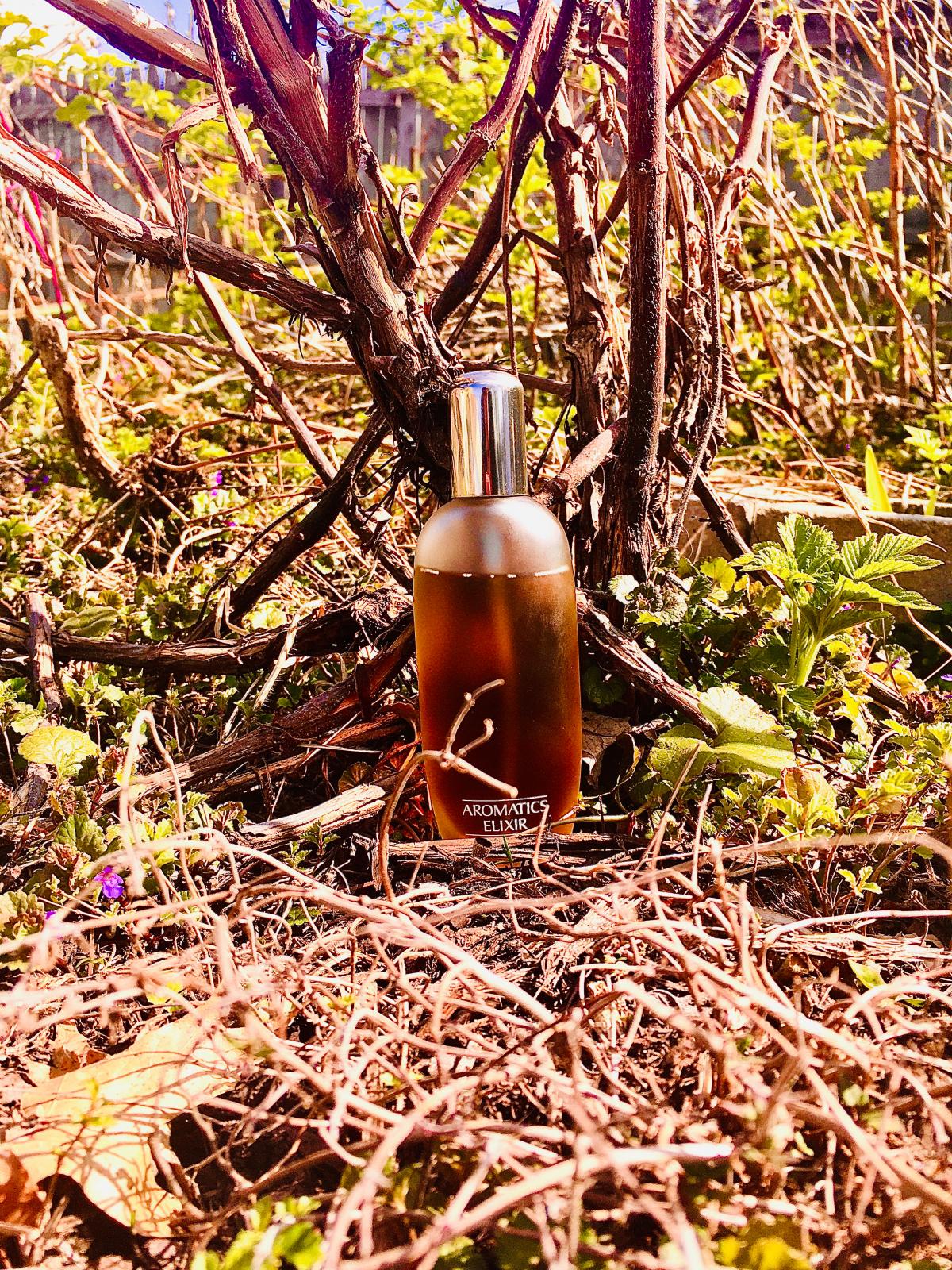 Aromatics Elixir Clinique perfume - a fragrância Feminino 1971