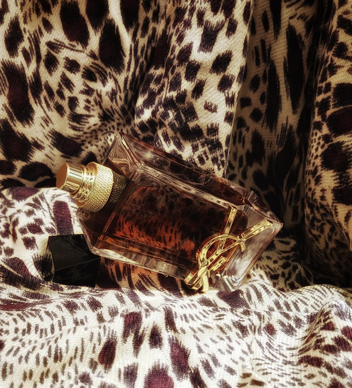 Libre Le Parfum Yves Saint Laurent parfum - un nouveau parfum pour ...