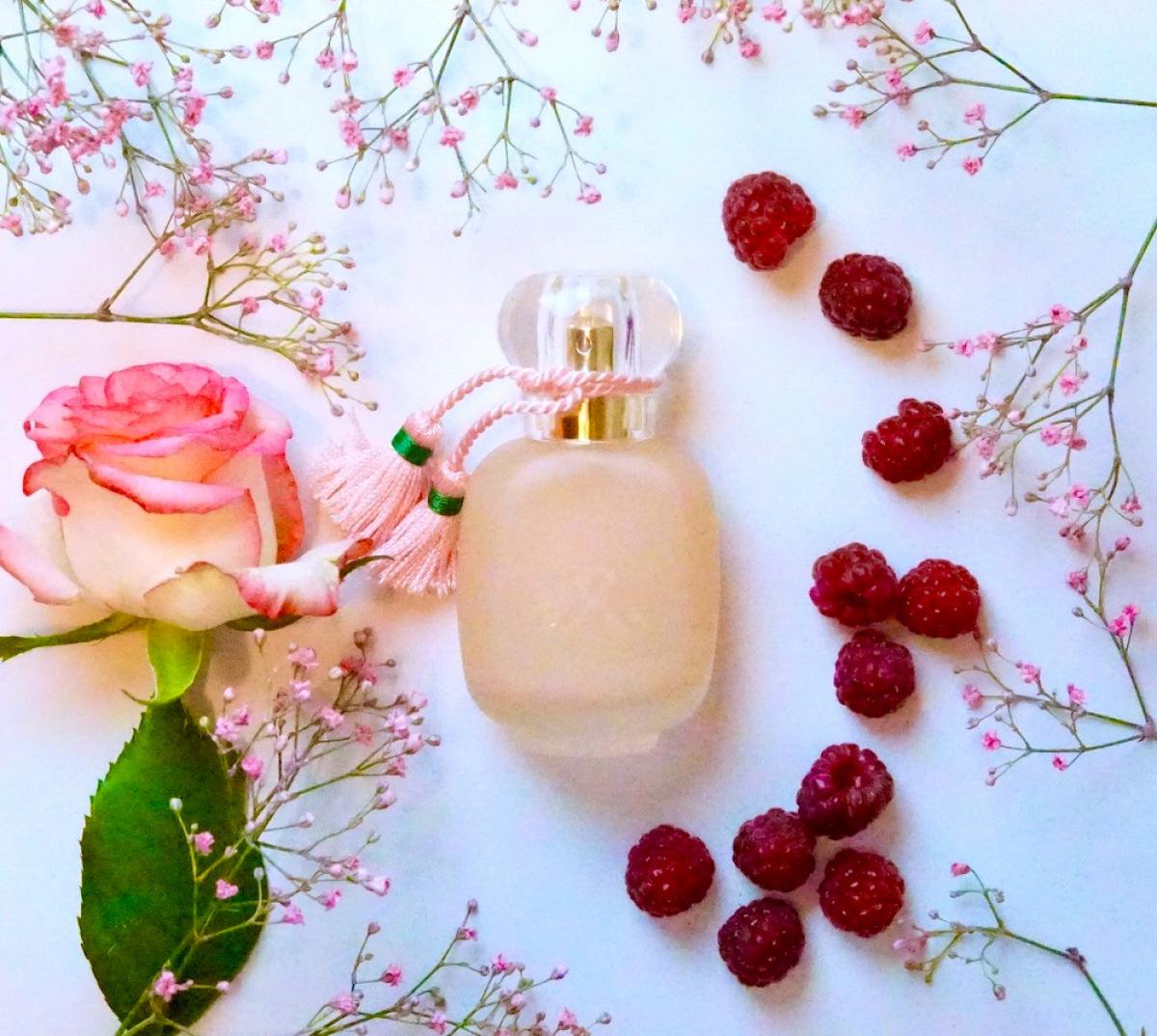 Rose Nue Les Parfums de Rosine parfum - een geur voor dames 2017