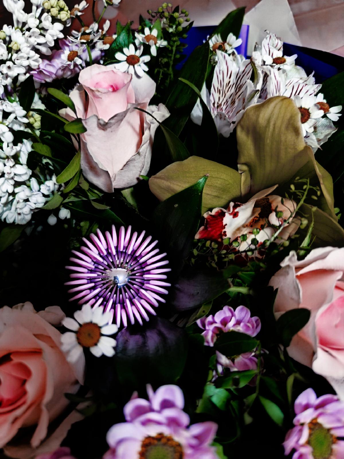 Anna Blumarine - una fragranza da donna 2014