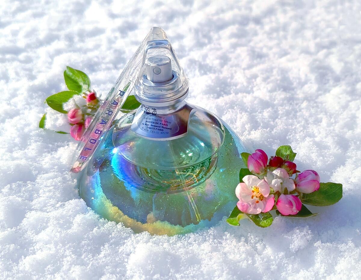 Parabole Succes de Paris parfum - un parfum pour femme 2003