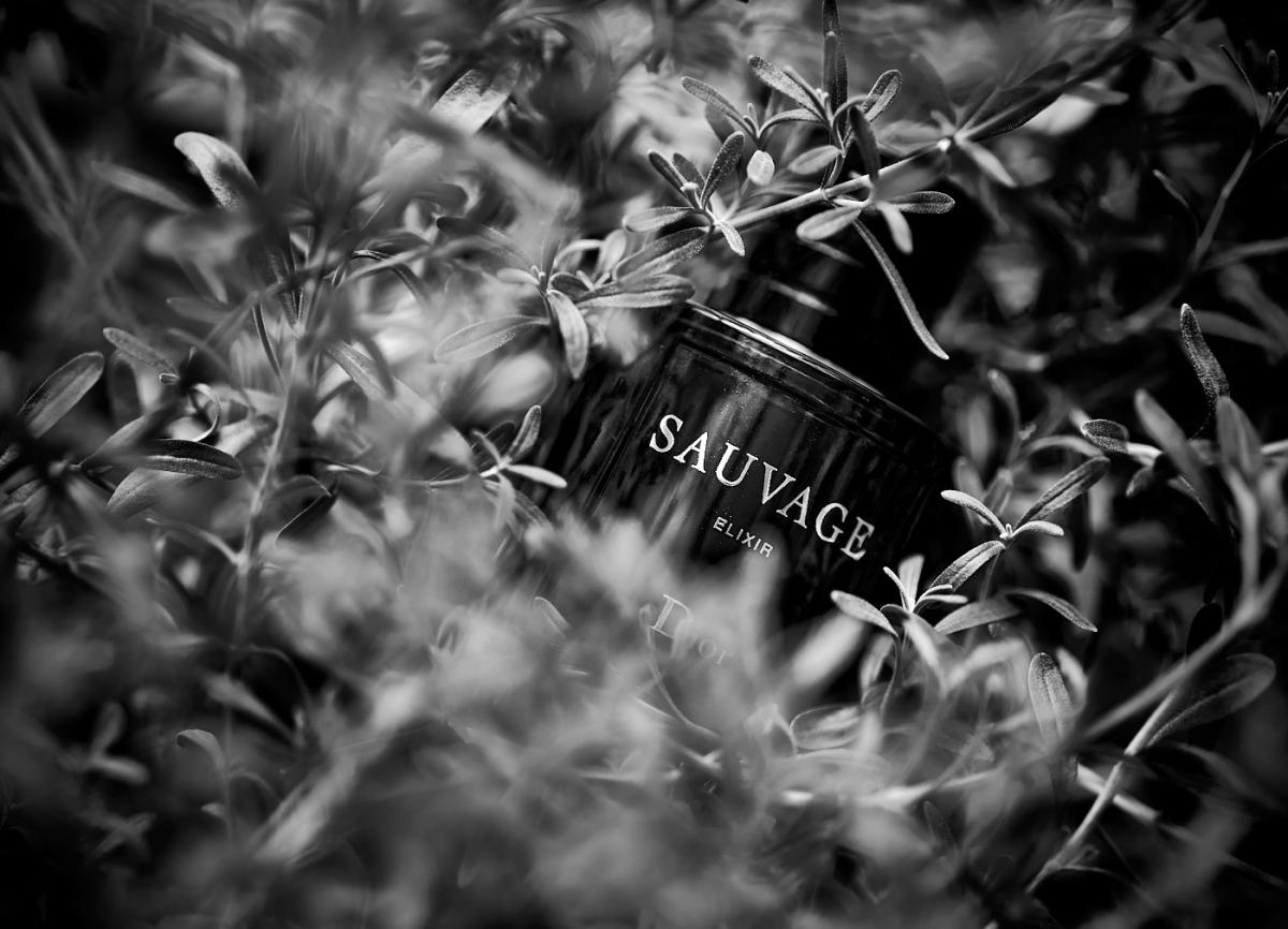 Sauvage Elixir Dior Cologne - un parfum pour homme 2021