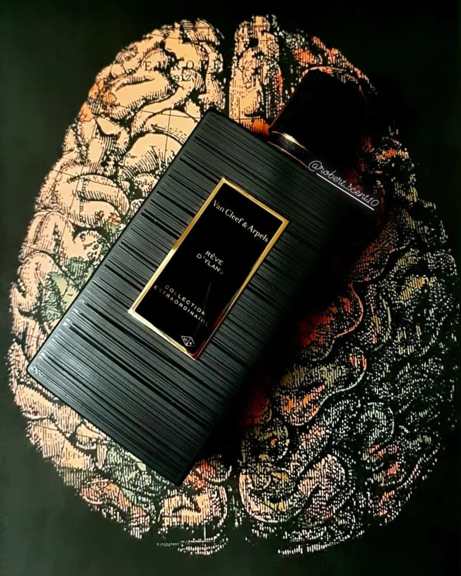 Rêve D'Ylang Van Cleef & Arpels parfum - un parfum pour homme et femme 2019
