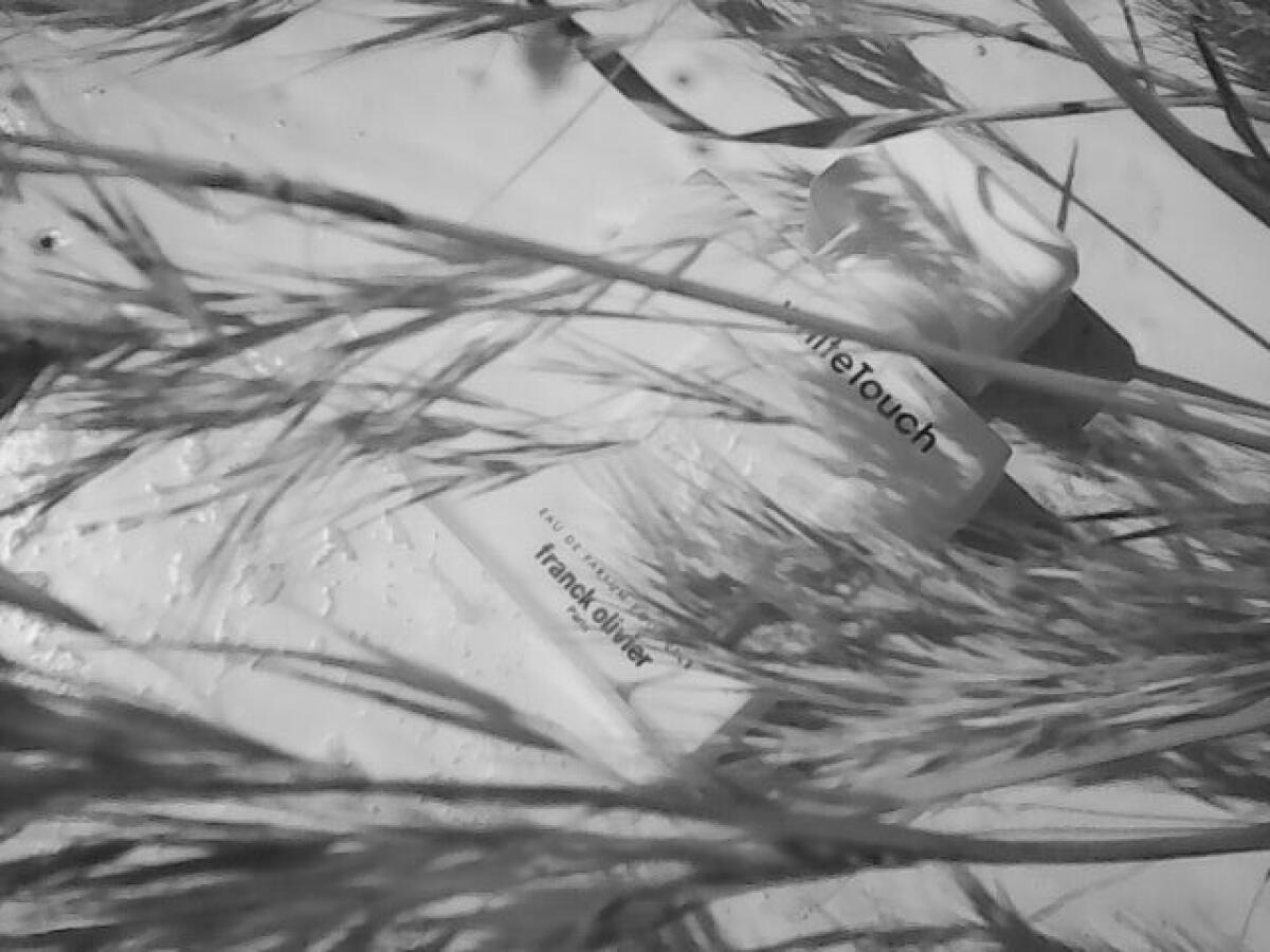 White Touch Franck Olivier fragancia - una fragancia para Mujeres