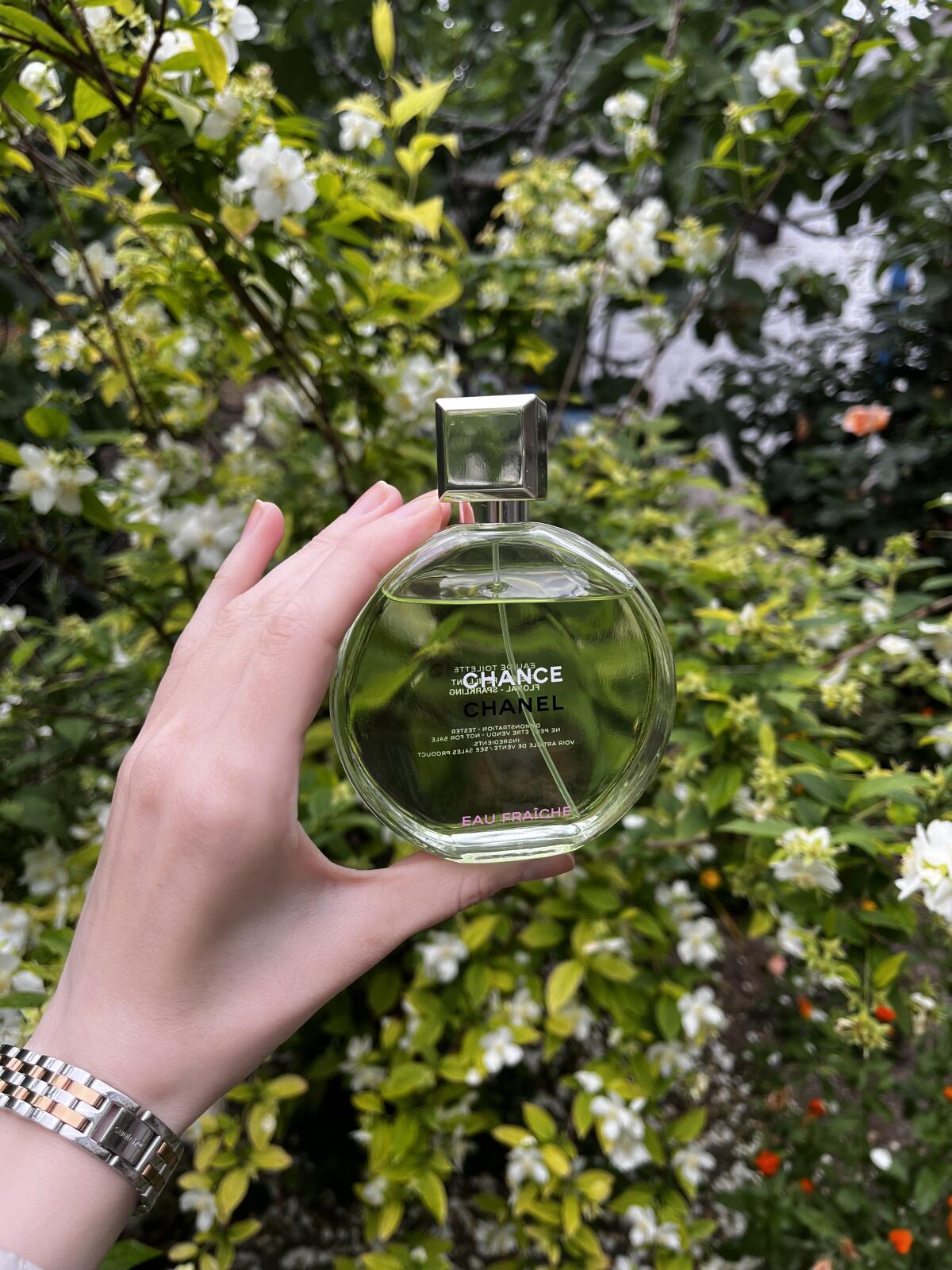 Chance Eau Fraiche Eau de Parfum Chanel fragancia - una nuevo fragancia ...