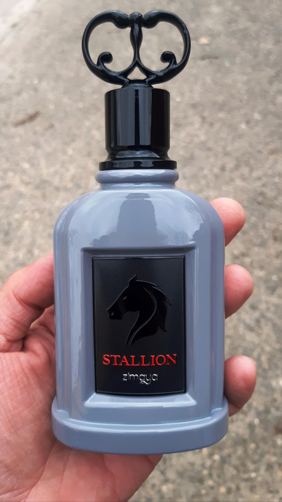 Stallion Zimaya Cologne - ein neues Parfum für Männer 2023