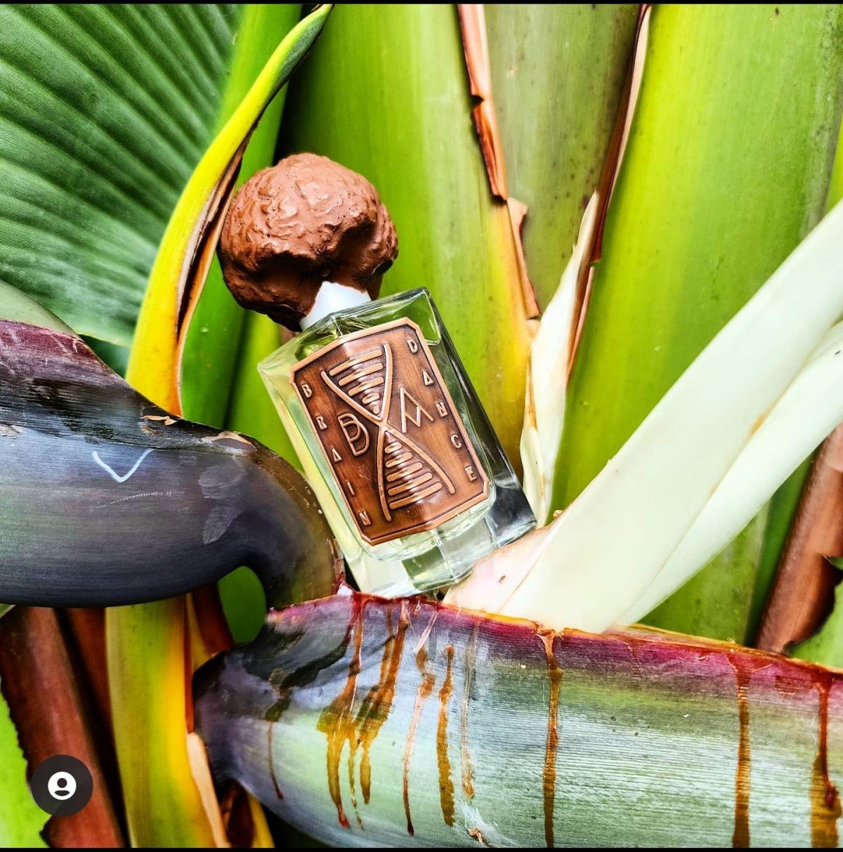 Brain Dance Broken Anatomy Perfumes parfum - un parfum pour homme et ...