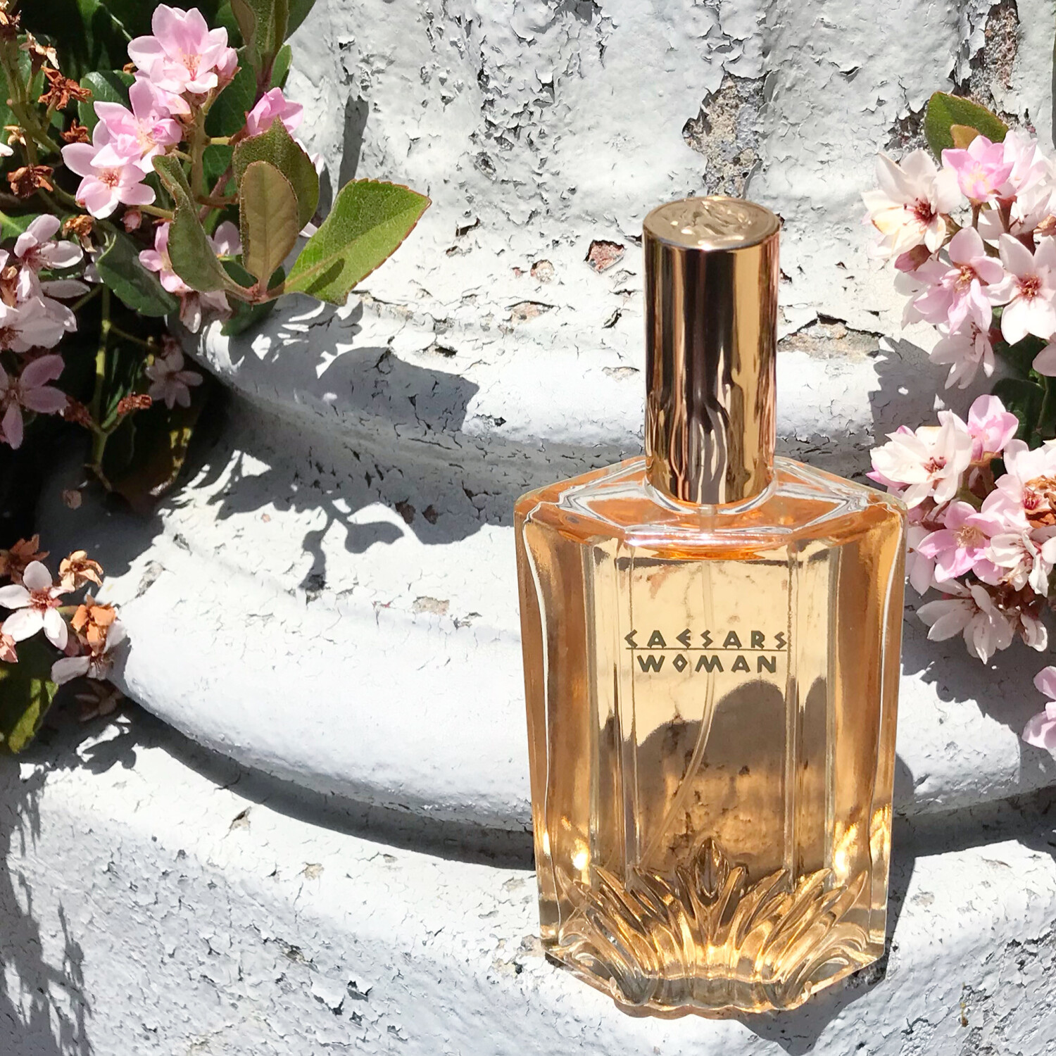Caesars Woman Caesars World fragancia - una fragancia para Mujeres 1988