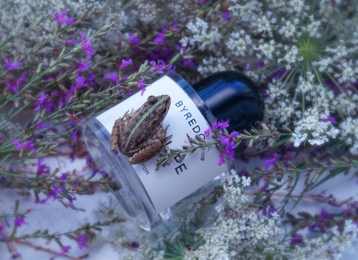 La Tulipe Byredo fragancia - una fragancia para Mujeres 2010